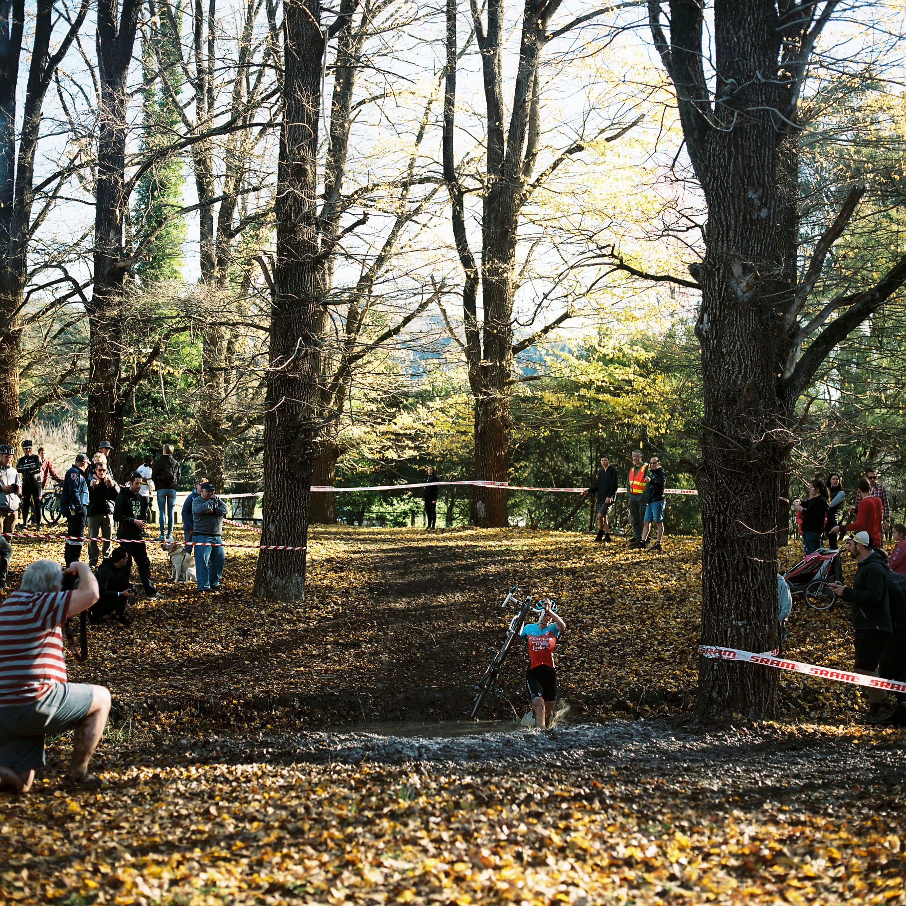 reorder photo add a link to this photo un fill row remove