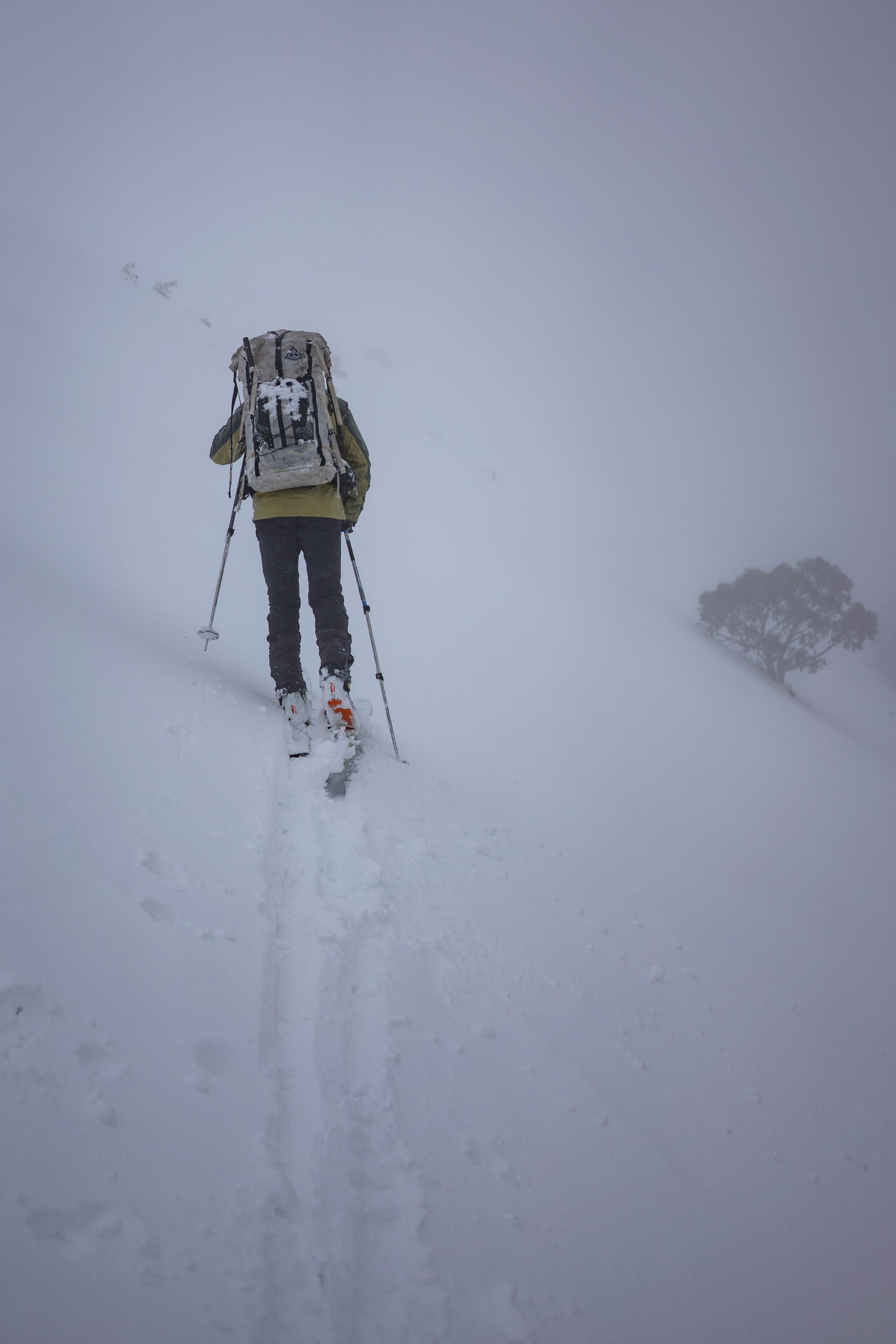 Australian Alps Walking Track