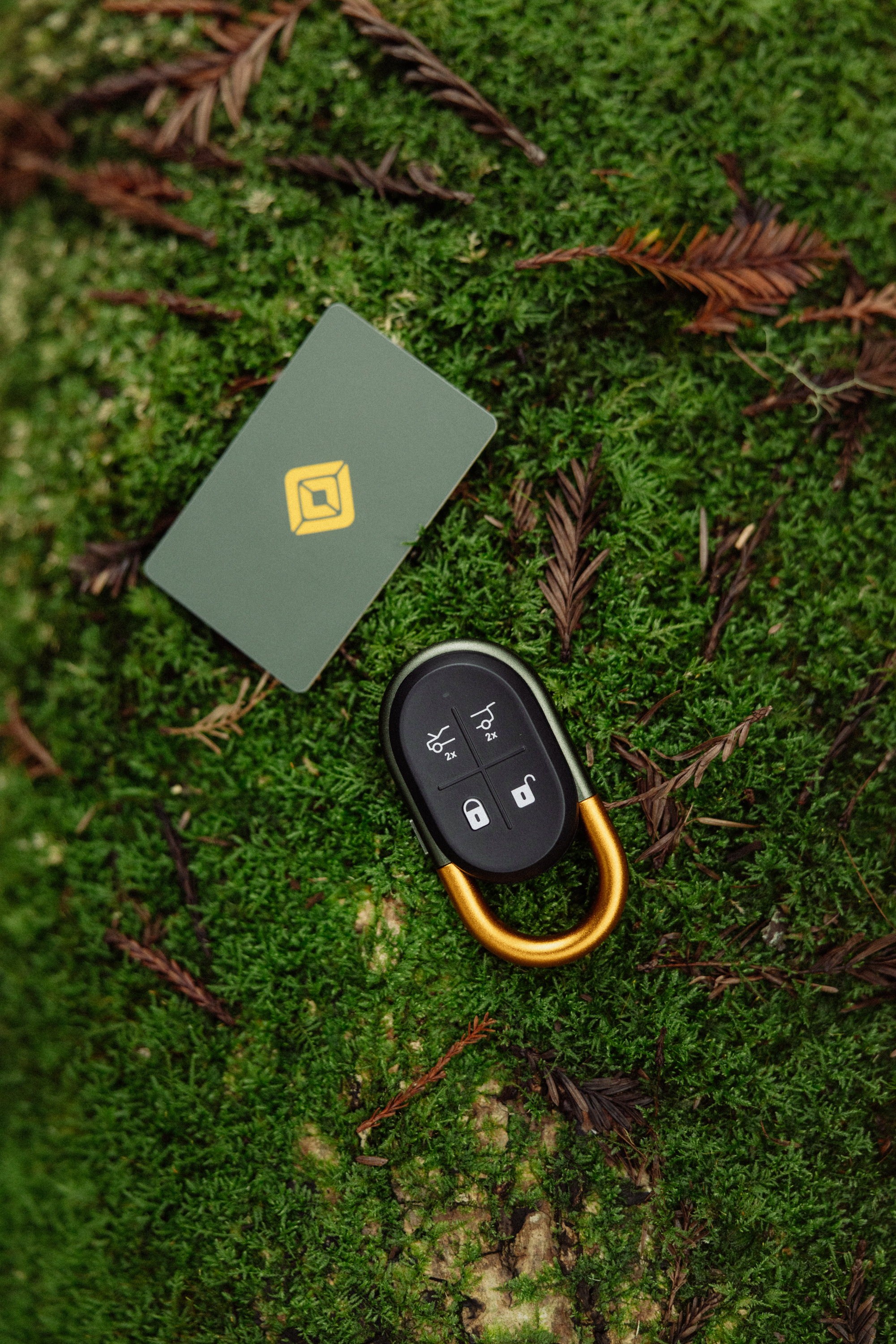 Rivian key fob and access card rest on bright green moss with scattered ...
