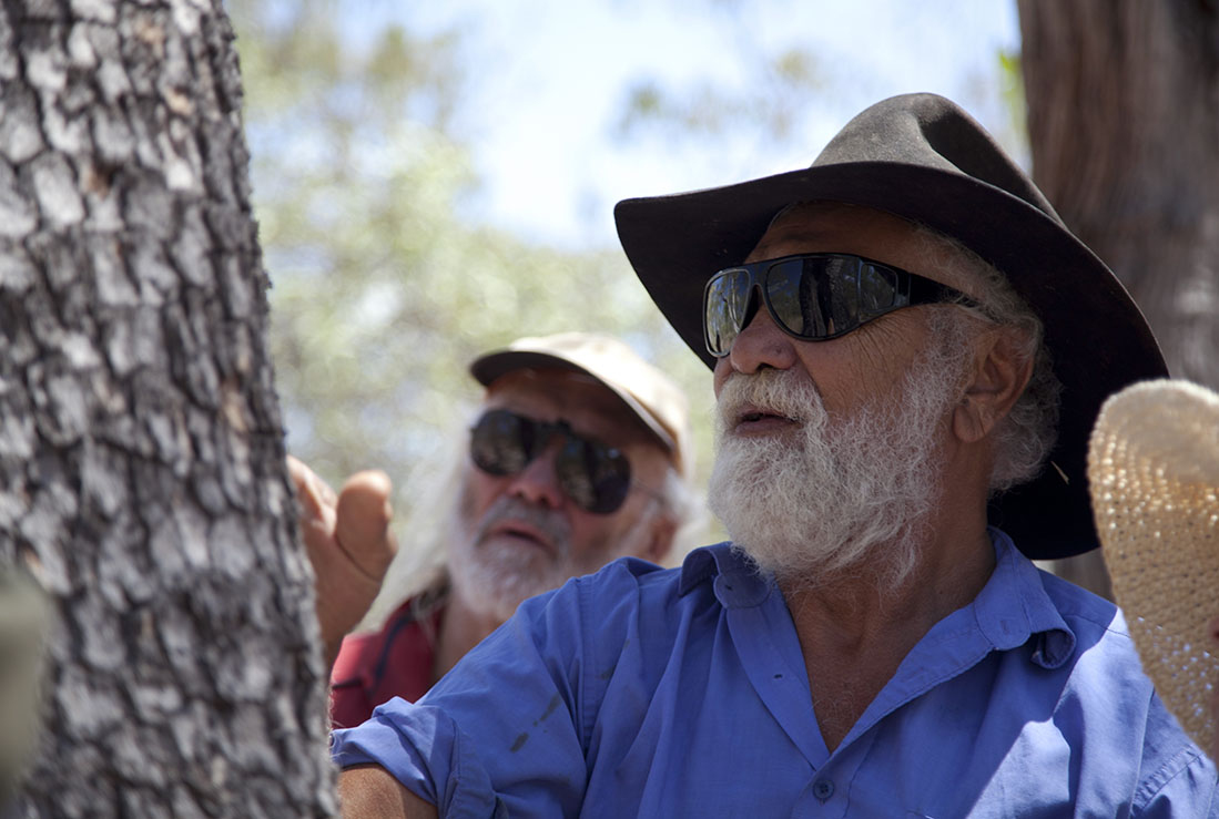 Olkola Elder Mike Ross sharing his knowledge of the traditional uses of ...
