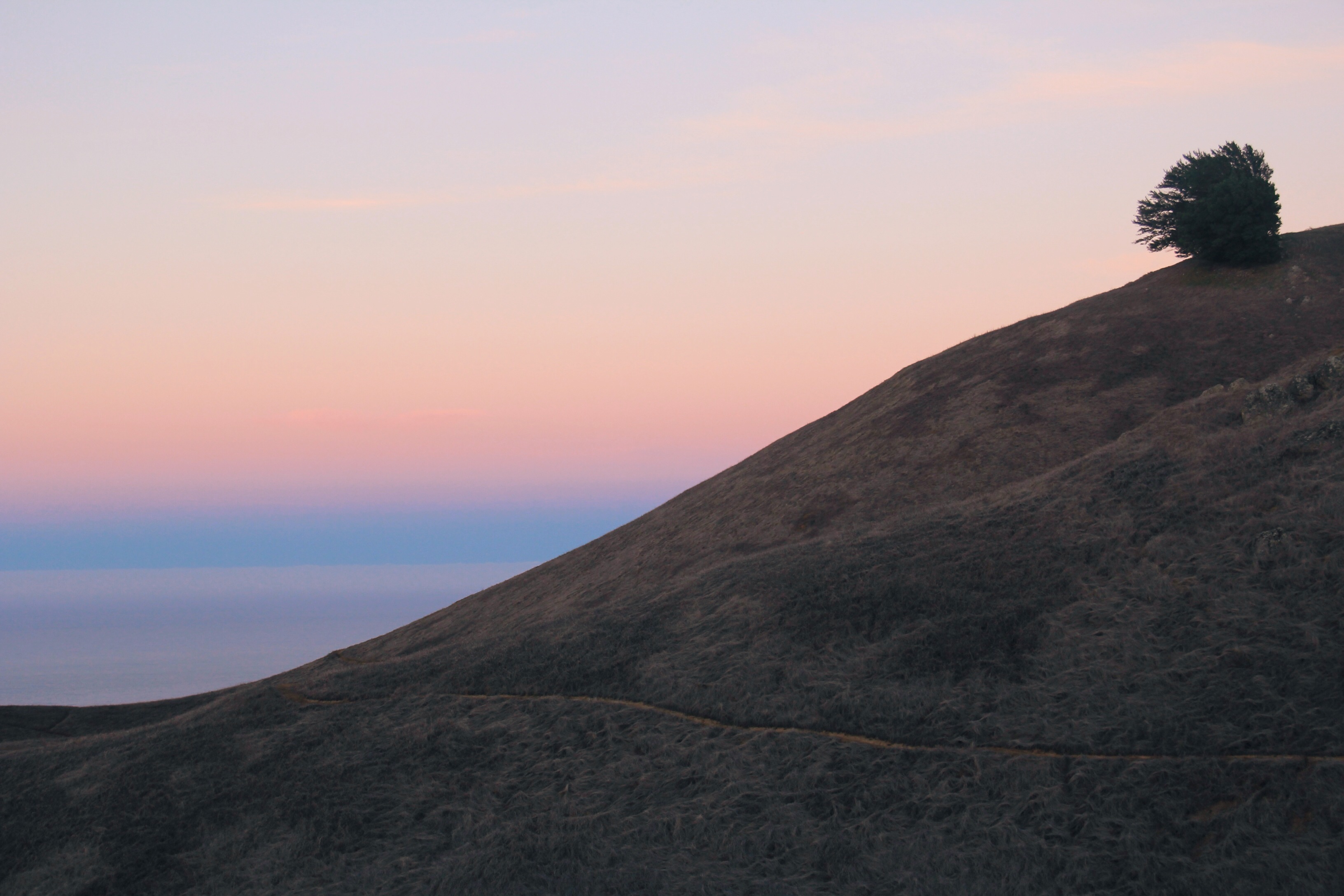 MOUNT TAMALPAIS