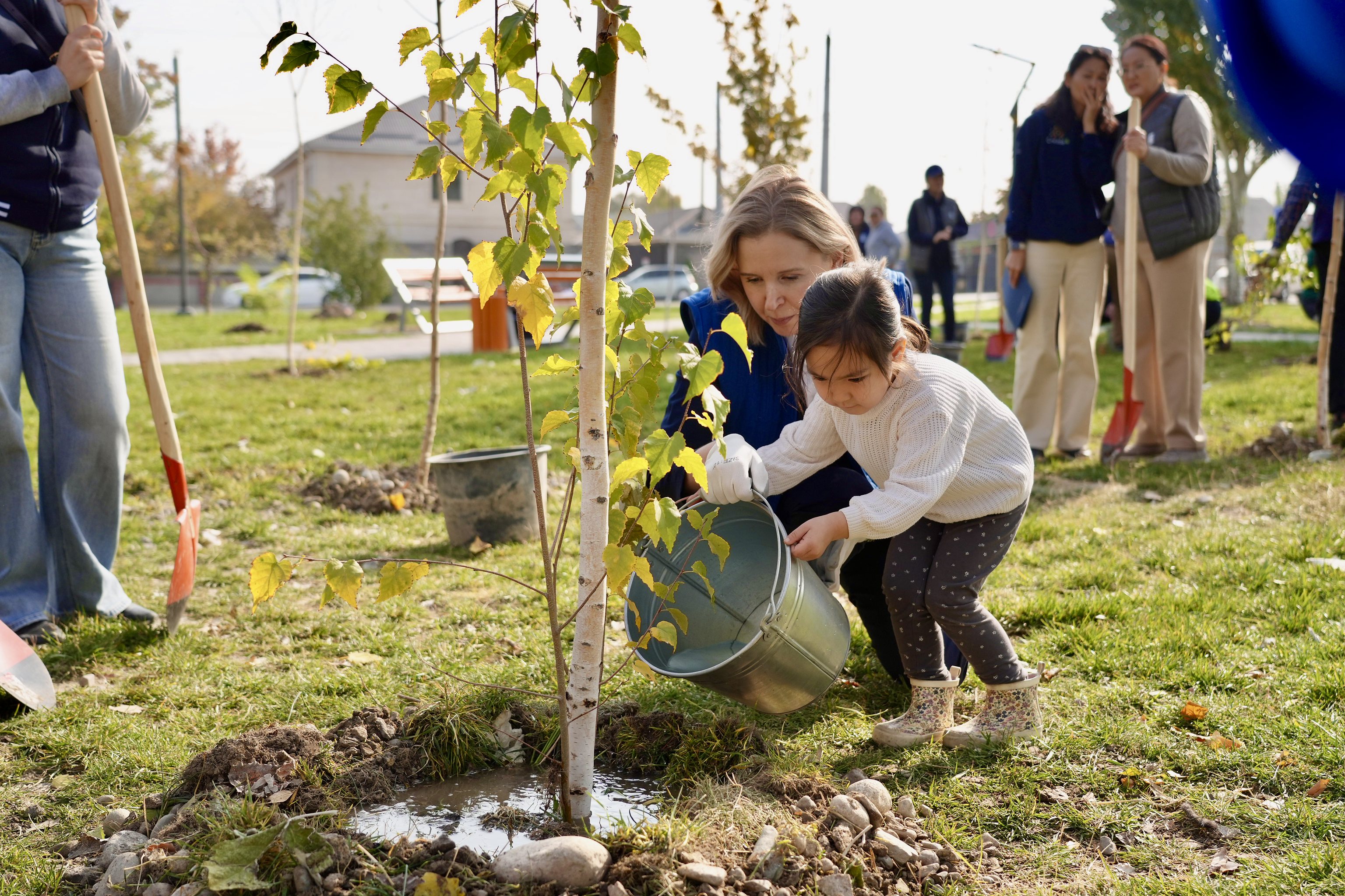 A journey rooted in volunteerism