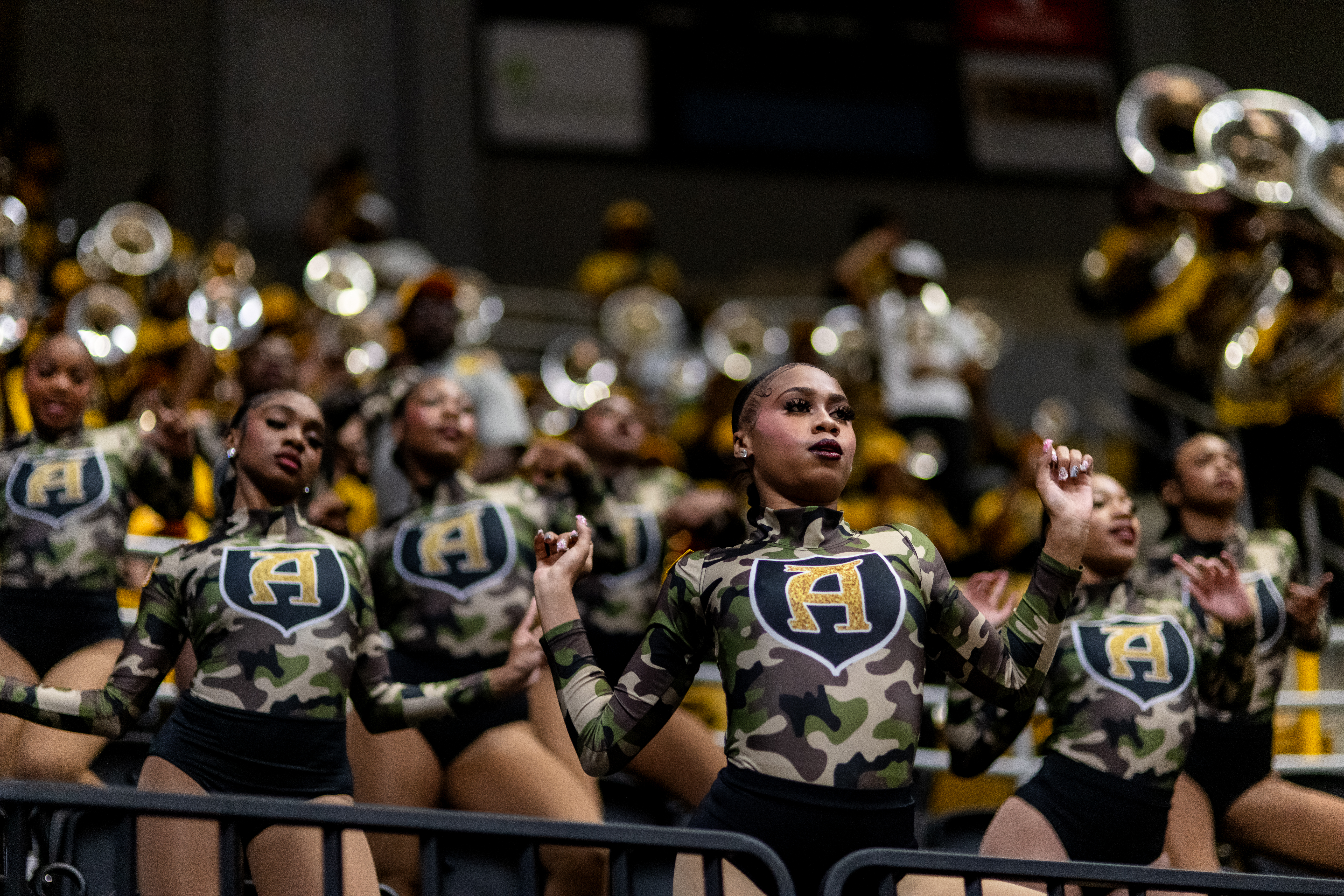 The Stingettes perform with the Mighty Marching Hornets as ASU's Lady ...