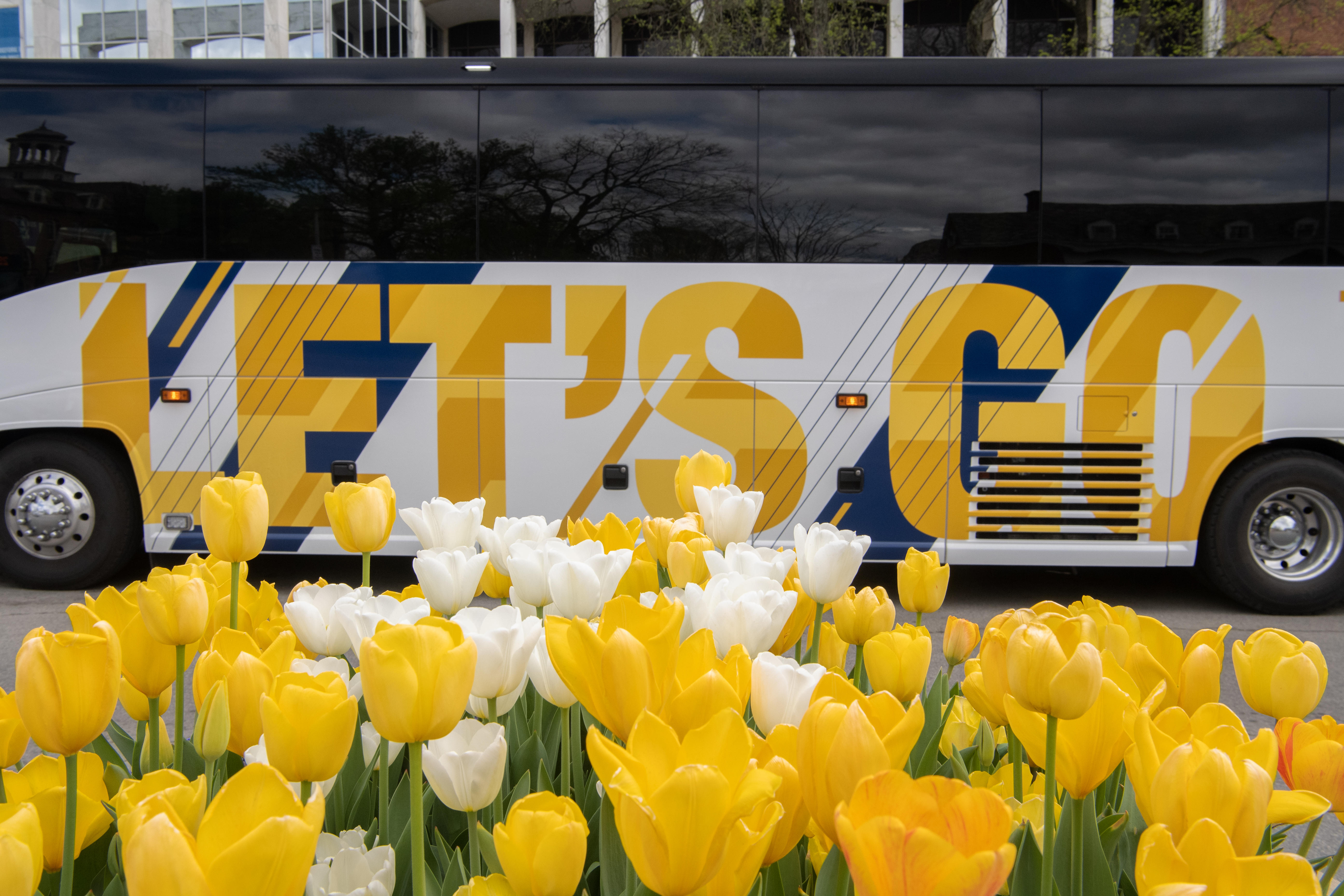 A bus emblazoned with