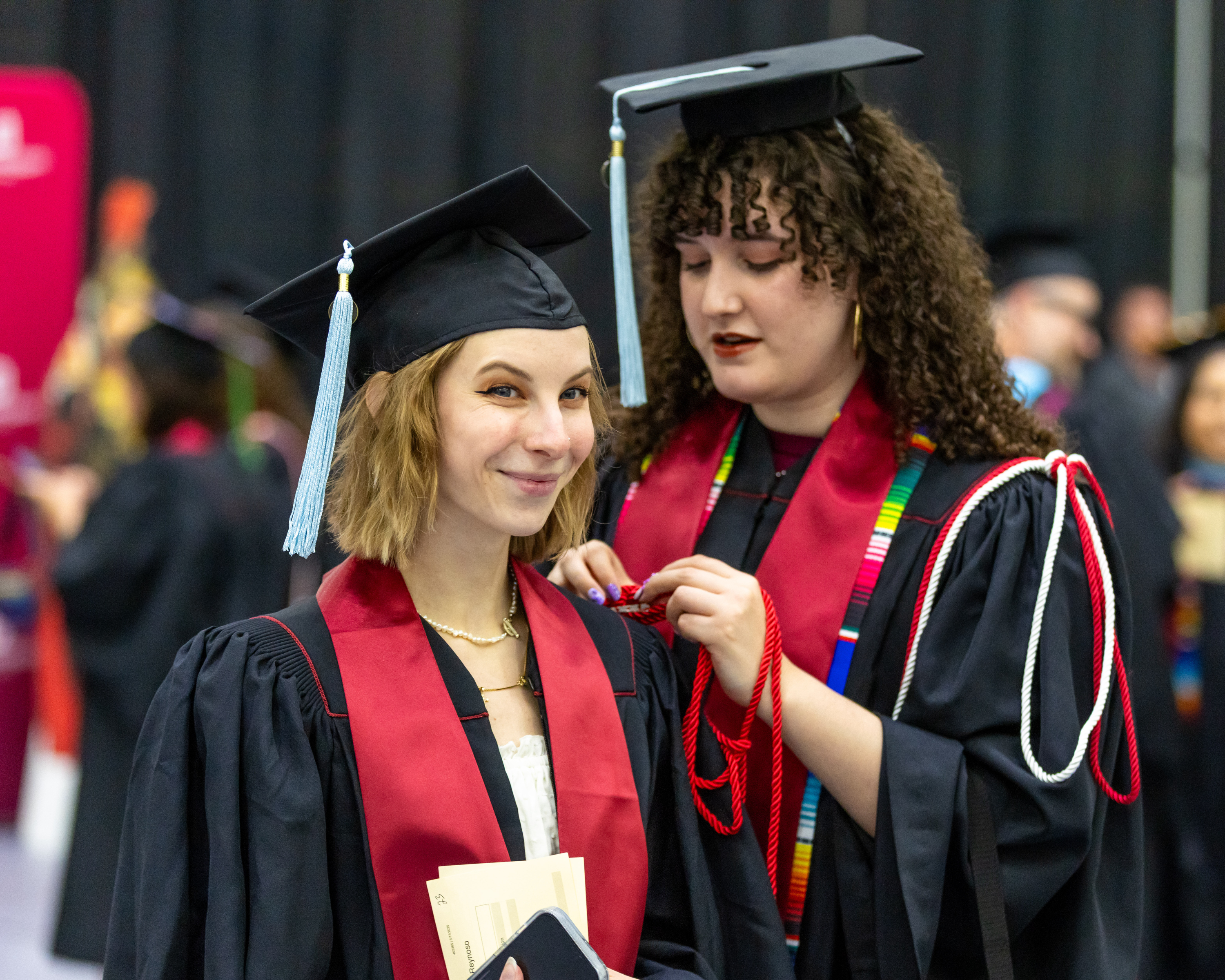 reorder photo add a link to this photo un fill row remove