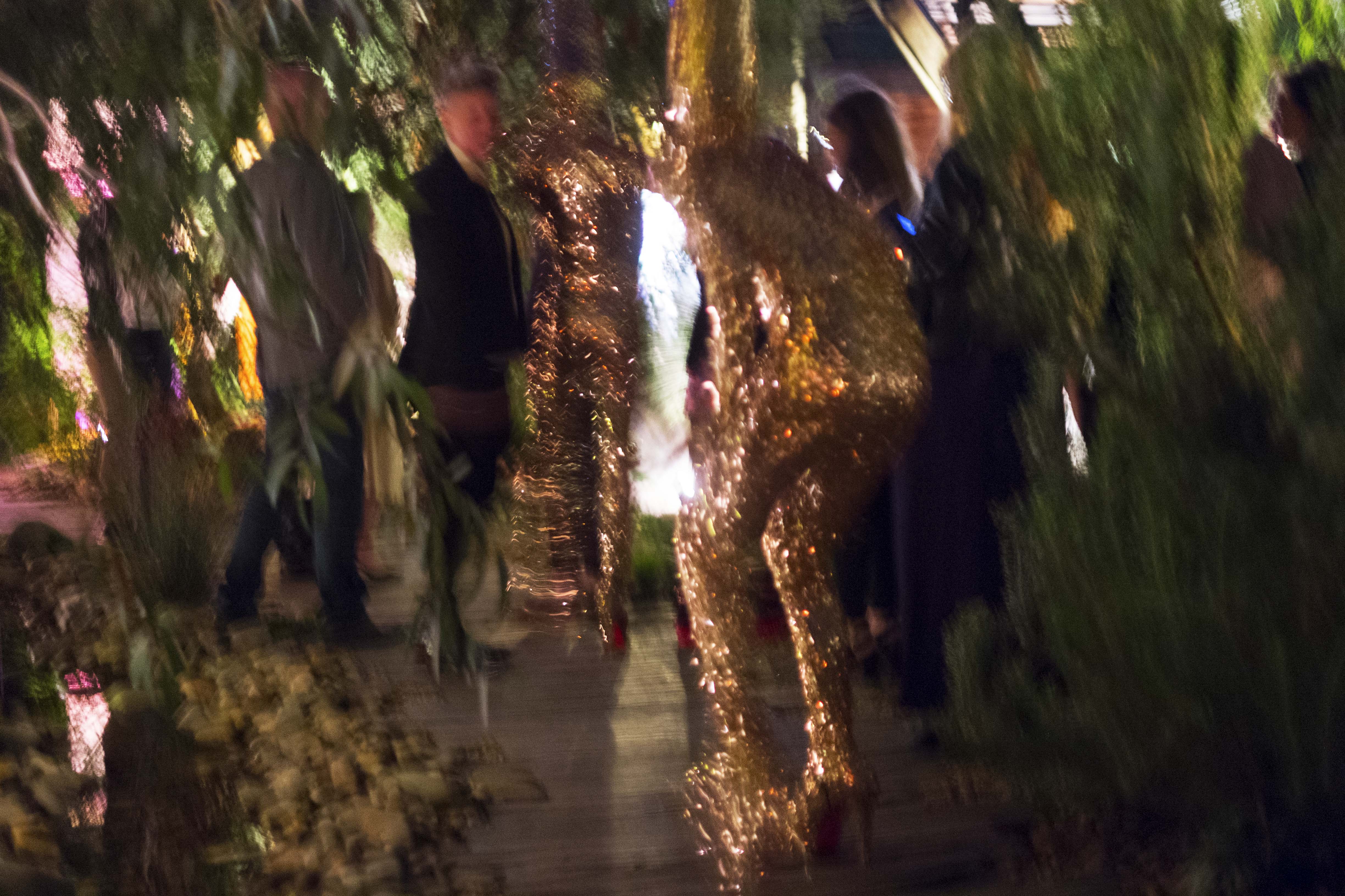 reorder photo add a link to this photo un fill row remove