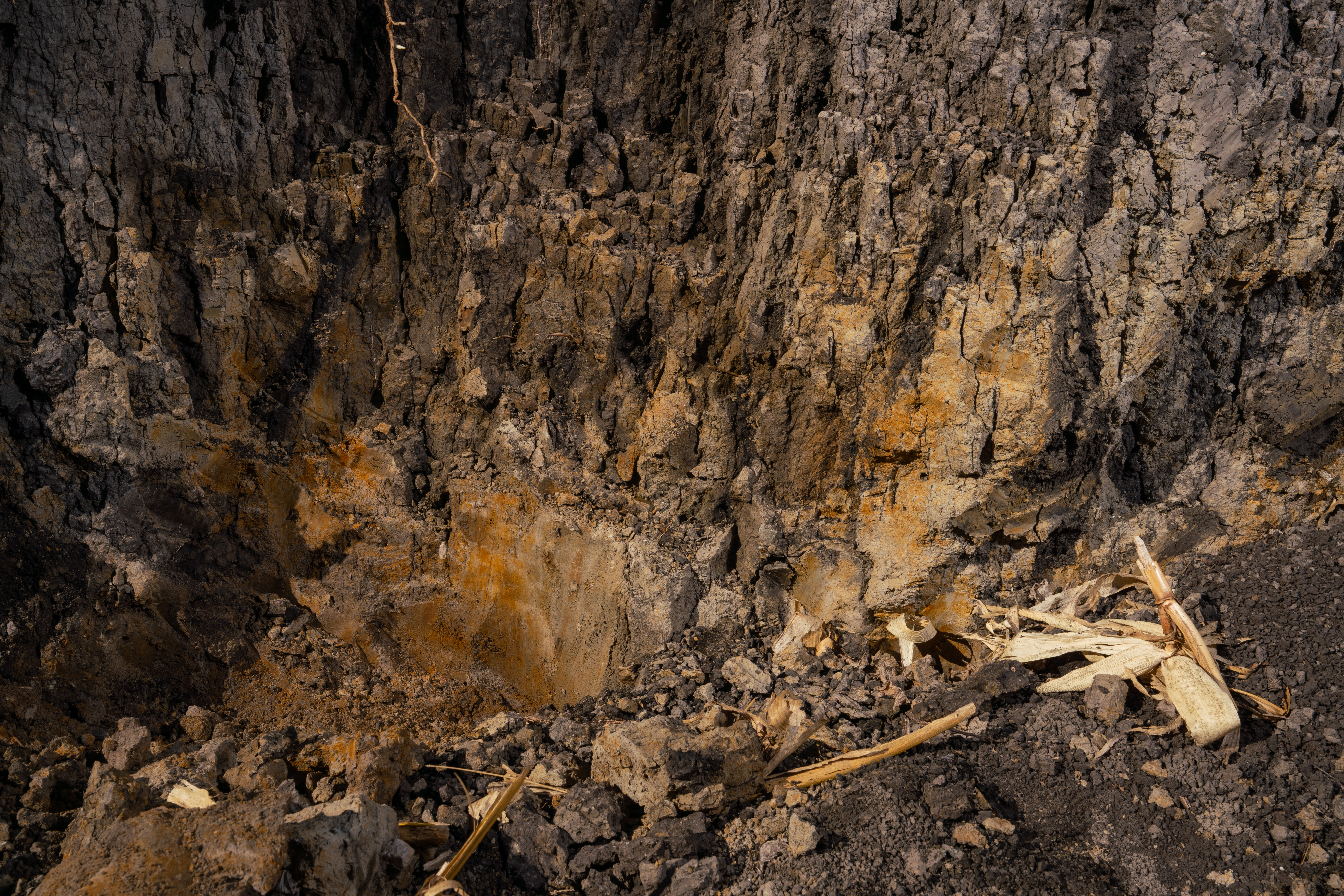 Soil pit revealing mixed colors of gray, brown, and orange, with loose ...