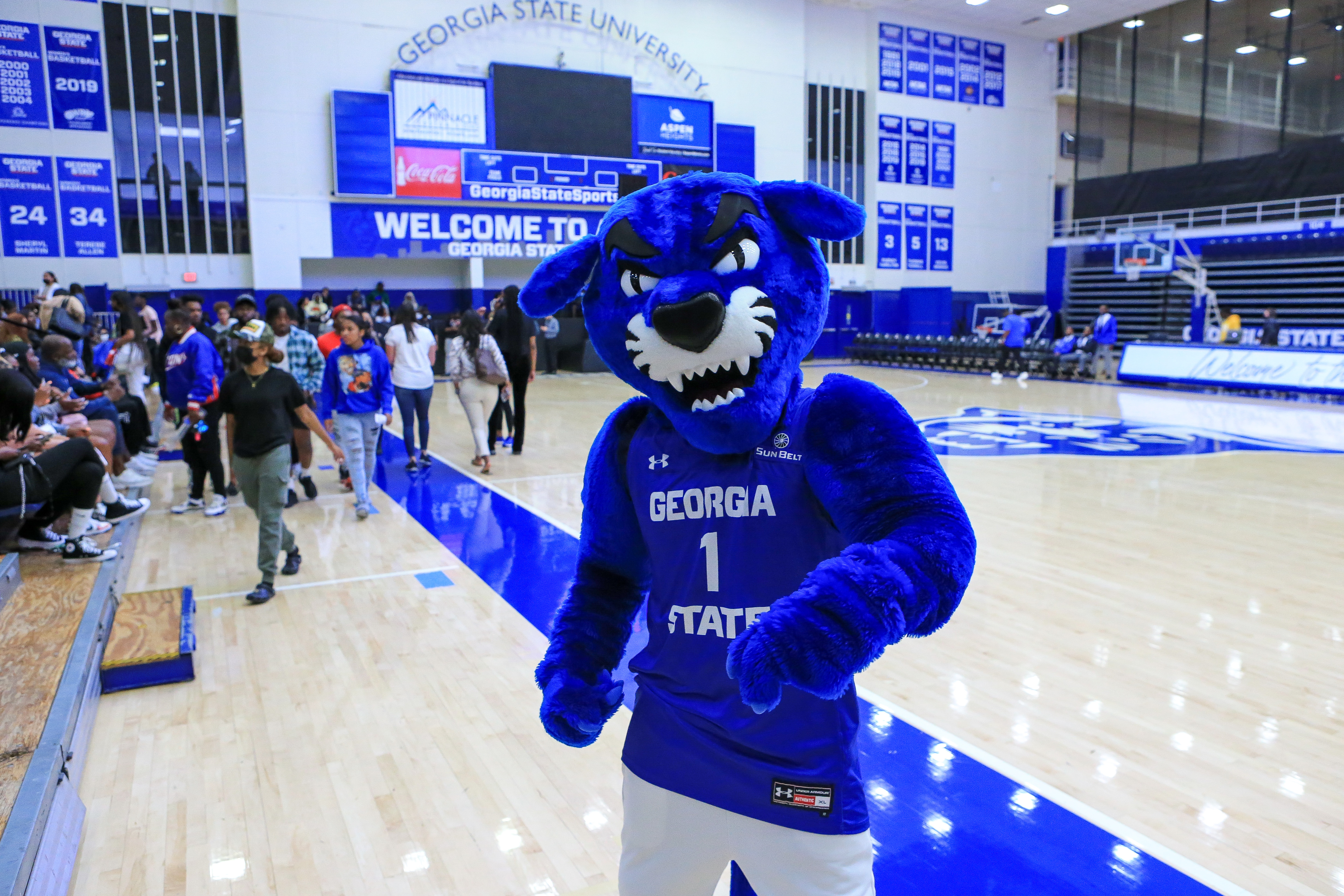 Pounce the Panther