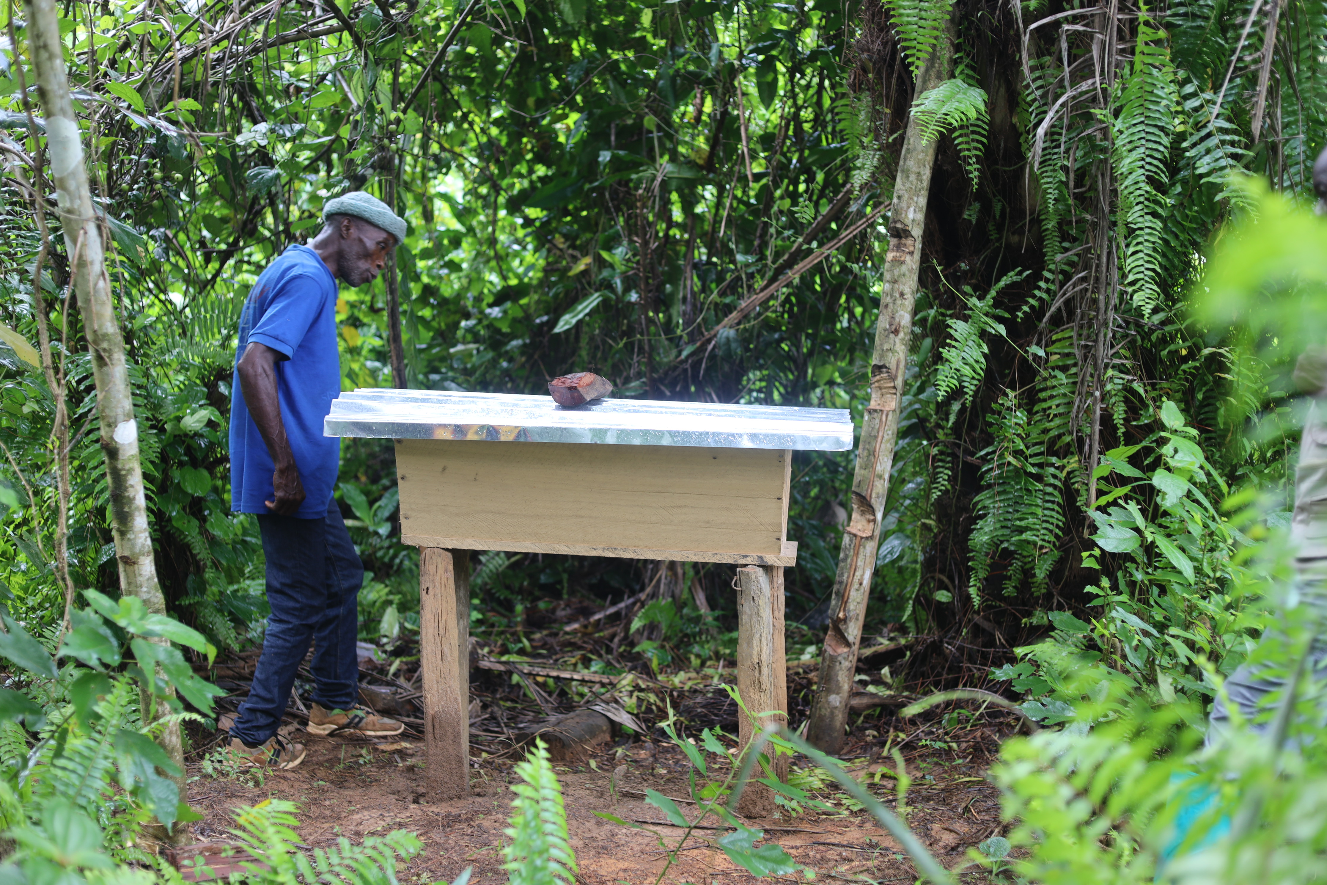Beekeeper in Polymychu, Cestos-Senkwehn Proposed Protected Area ...