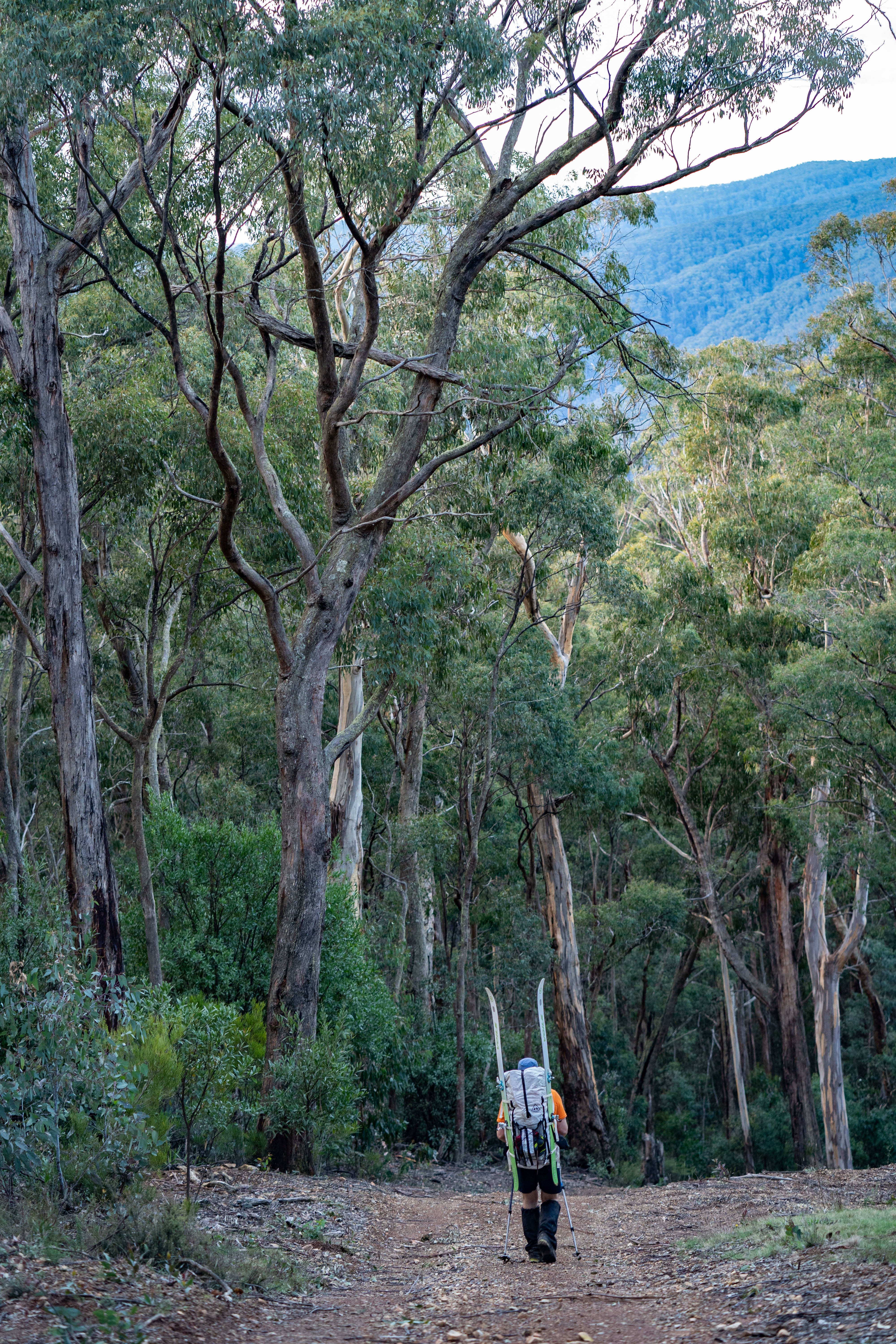 Australian Alps Walking Track
