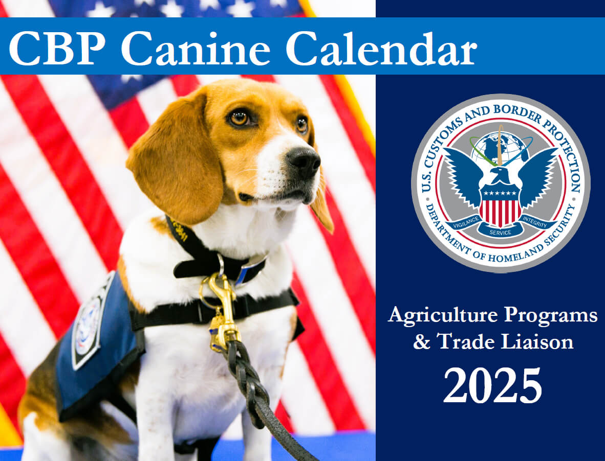 USDA Detector Dogs