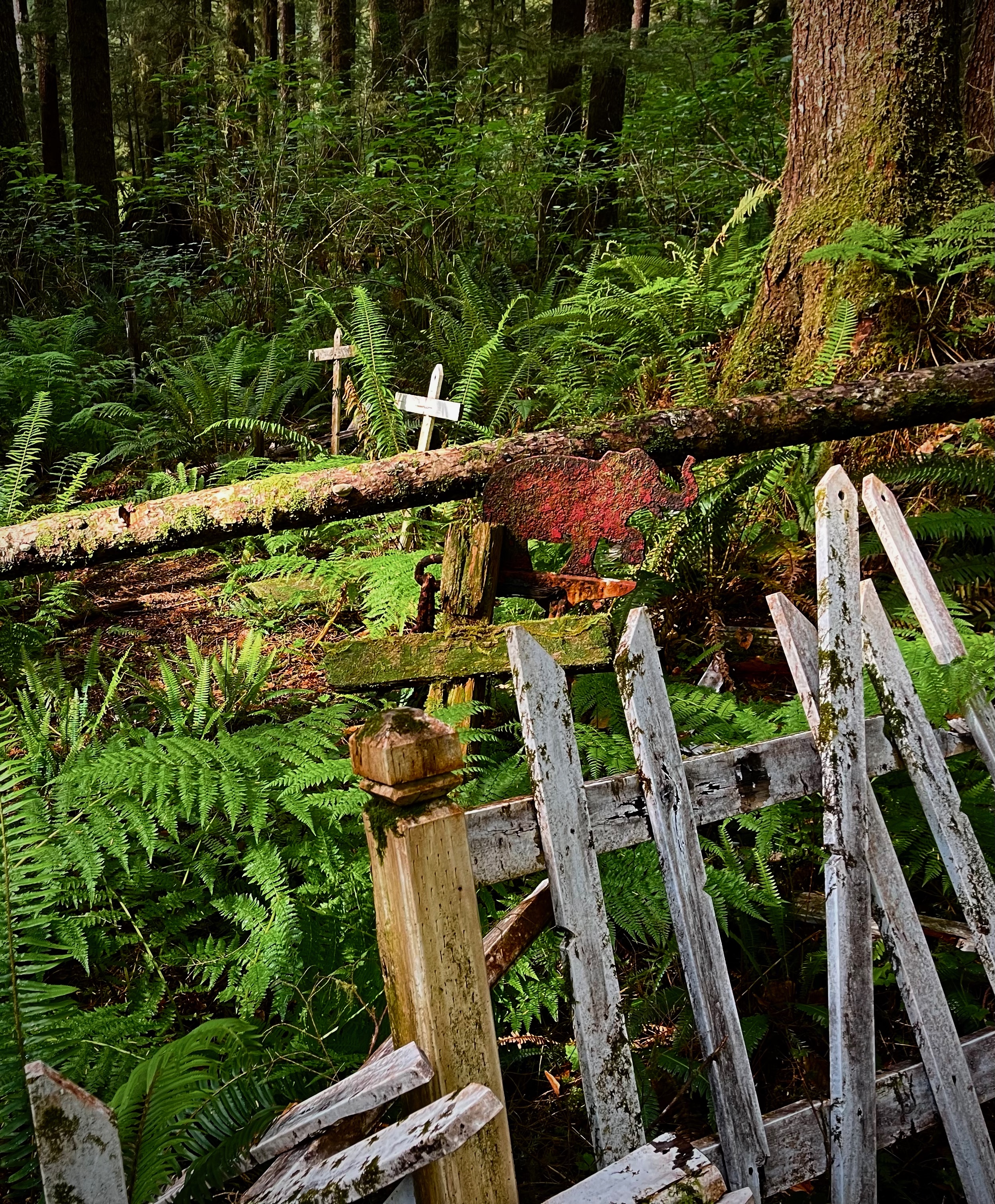 reorder photo add a link to this photo un fill row remove