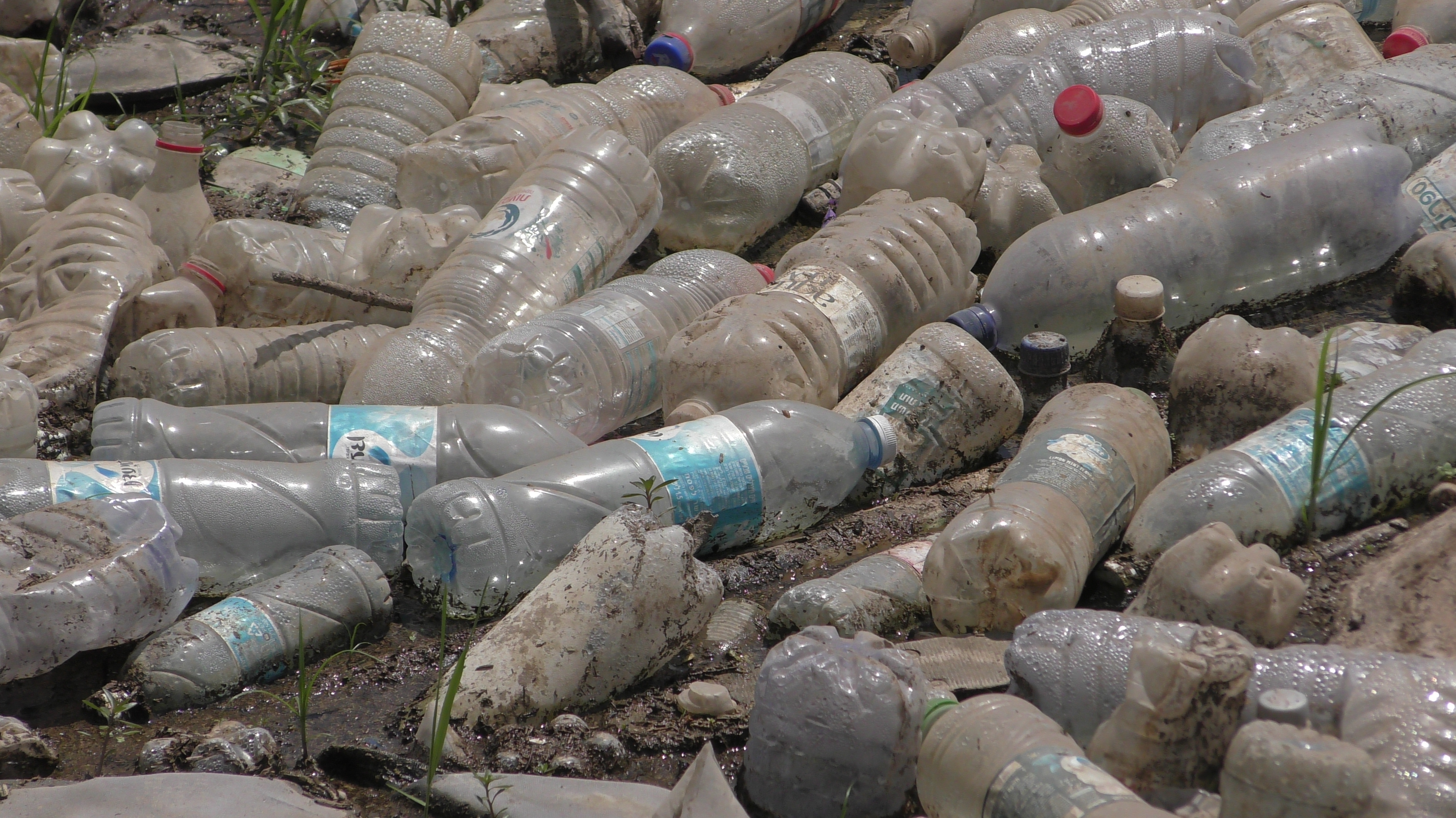 What do plastics have to do with climate change?