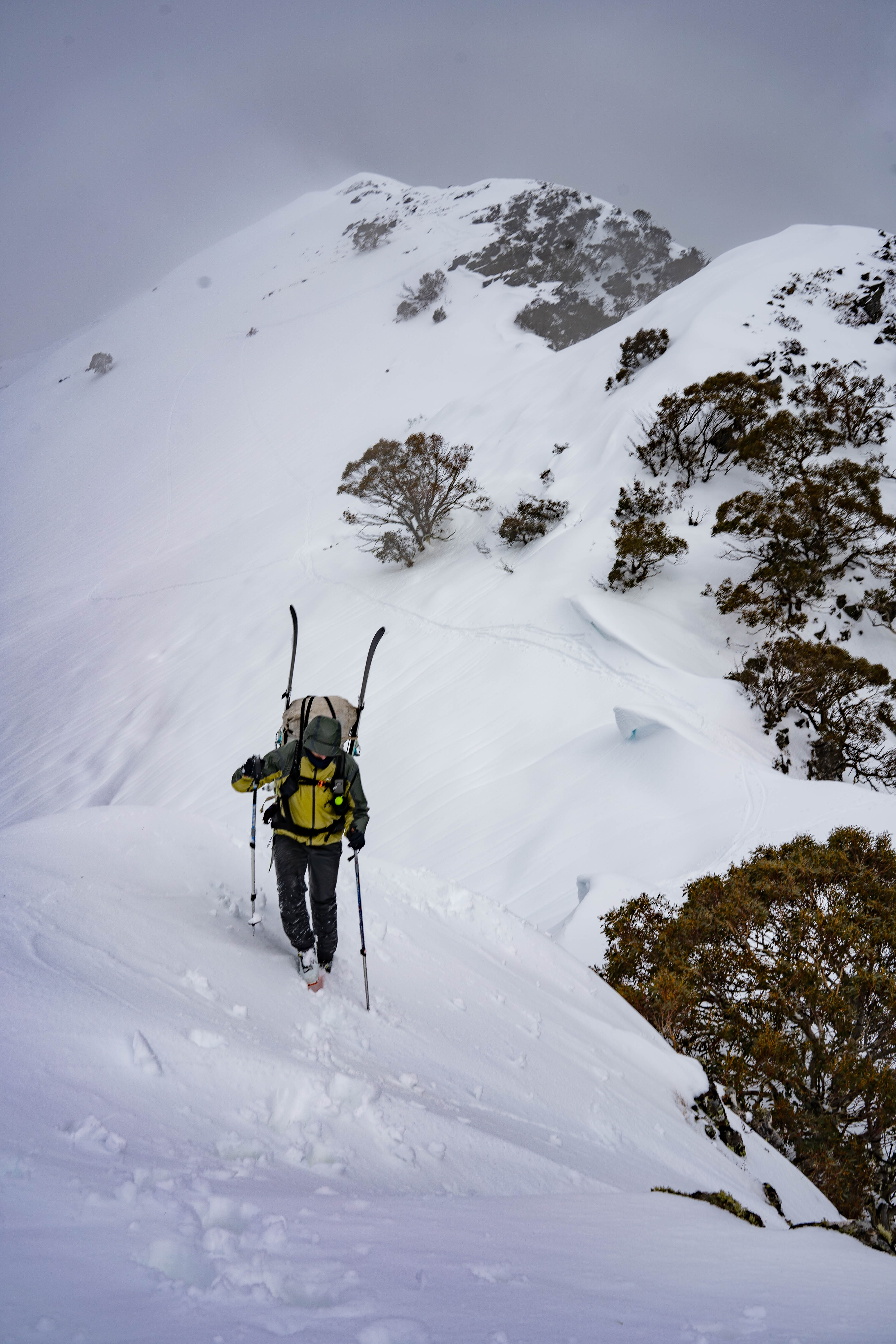 Australian Alps Walking Track