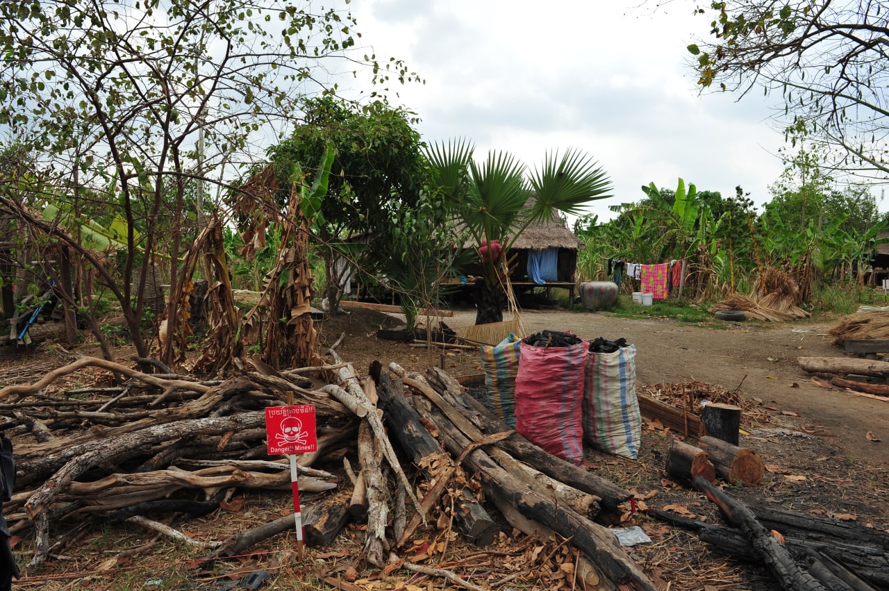 Some forests and agriculture areas in the country are still littered ...