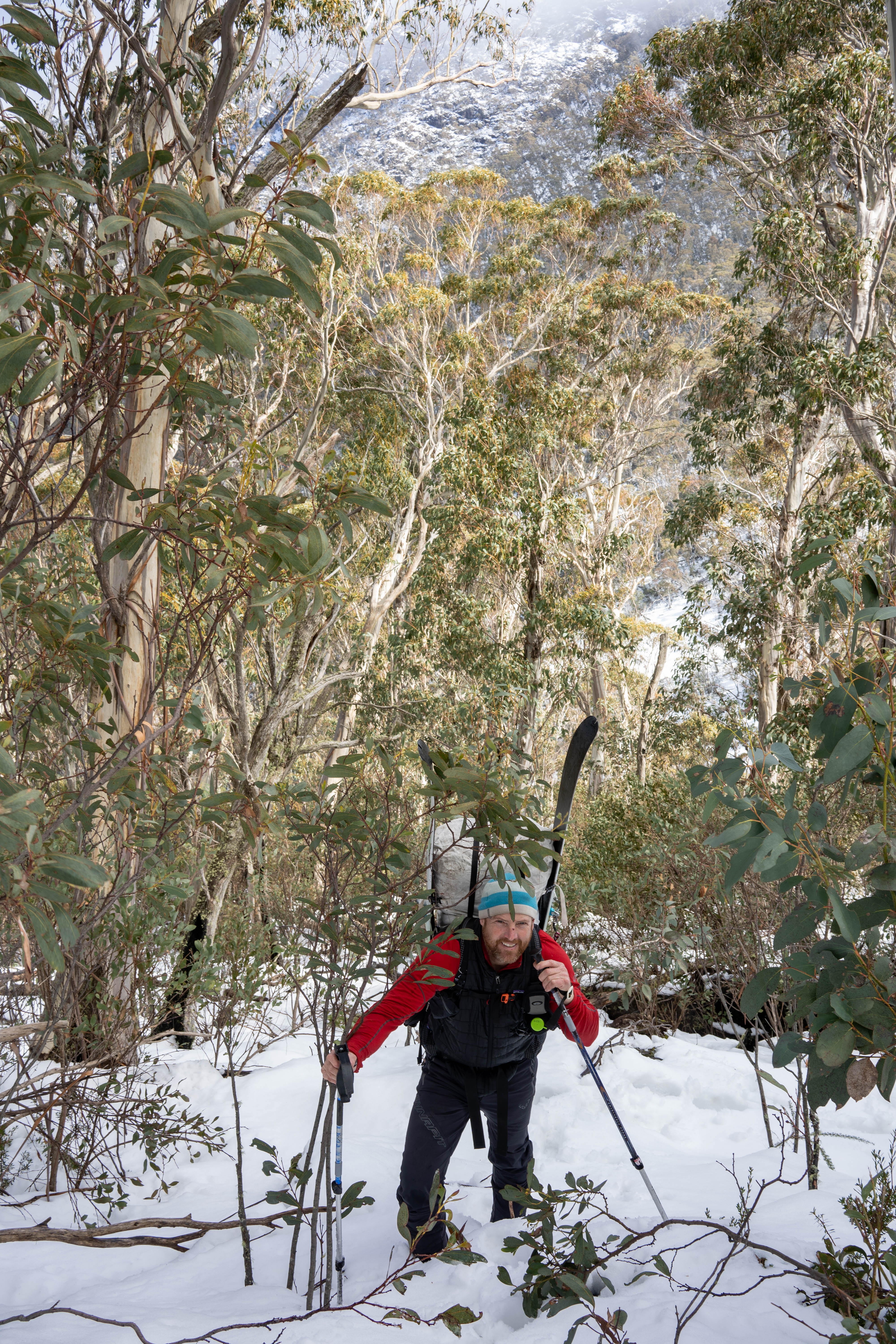 Australian Alps Walking Track