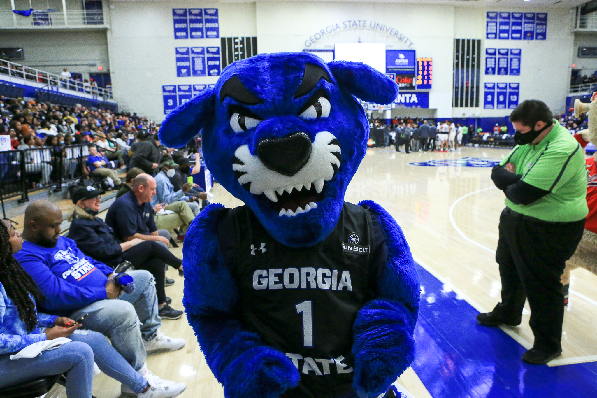 Pounce the Panther