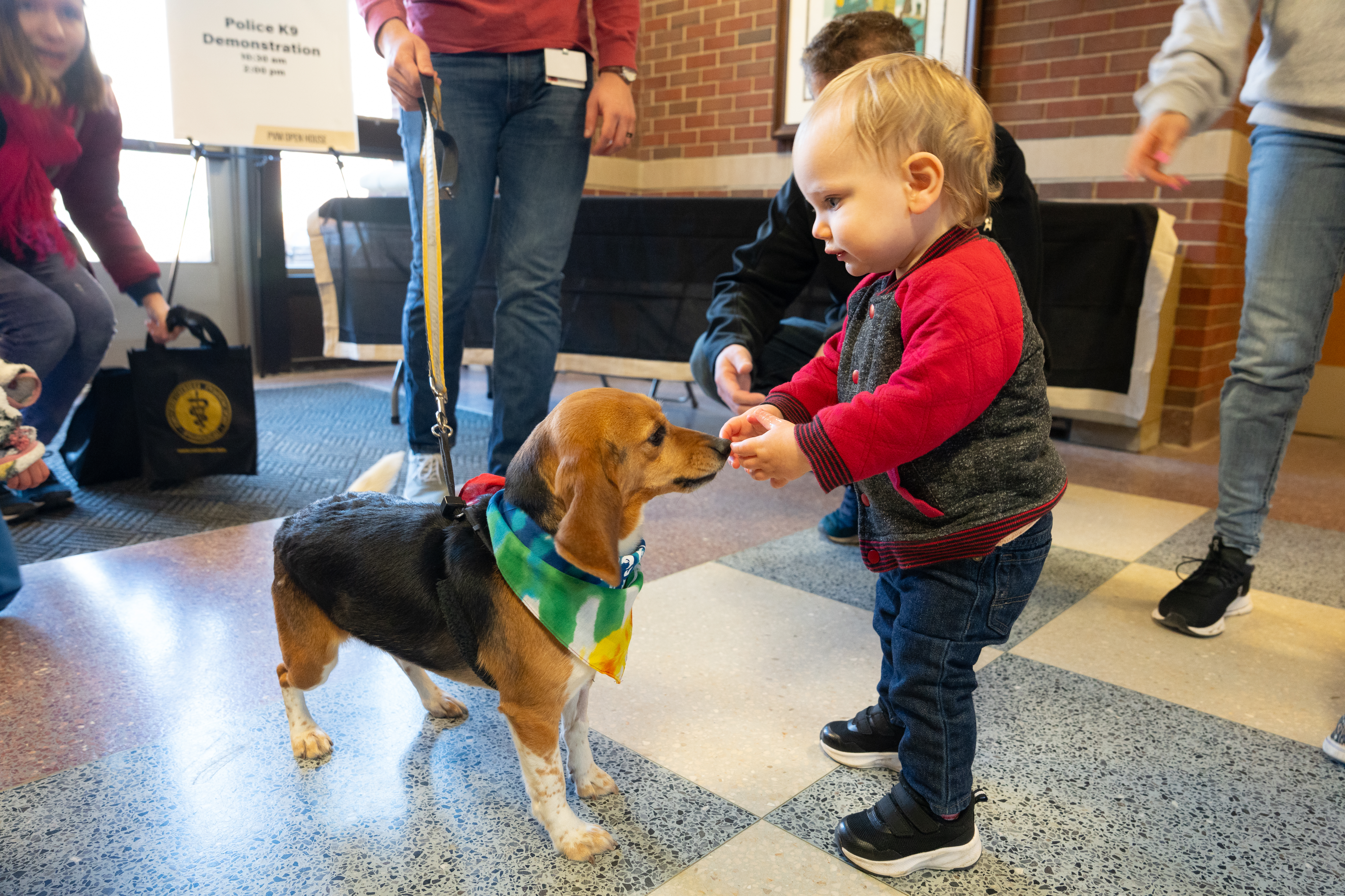 A celebration of family fun, flora and fauna: Spring Fest 2025