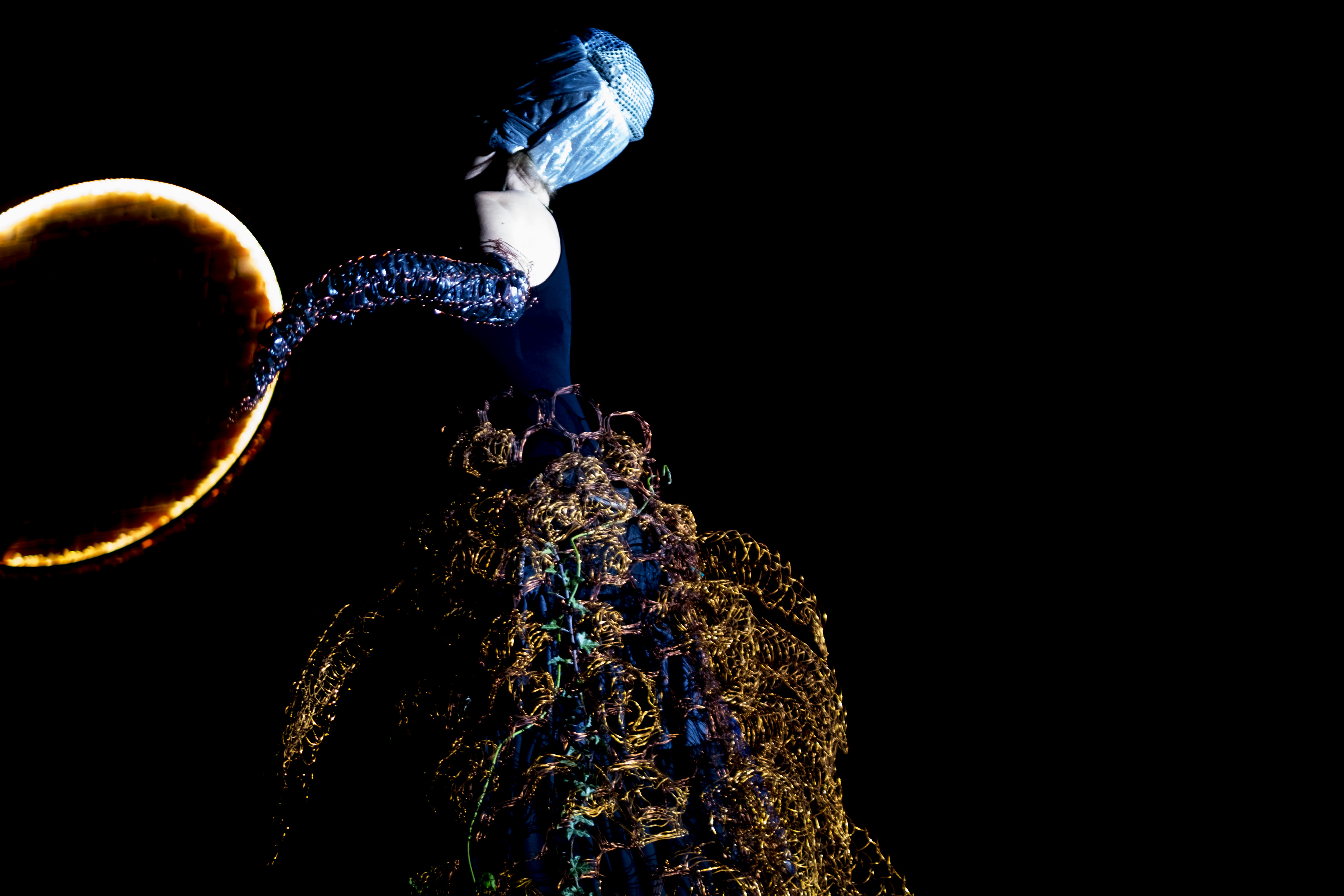 reorder photo add a link to this photo un fill row remove