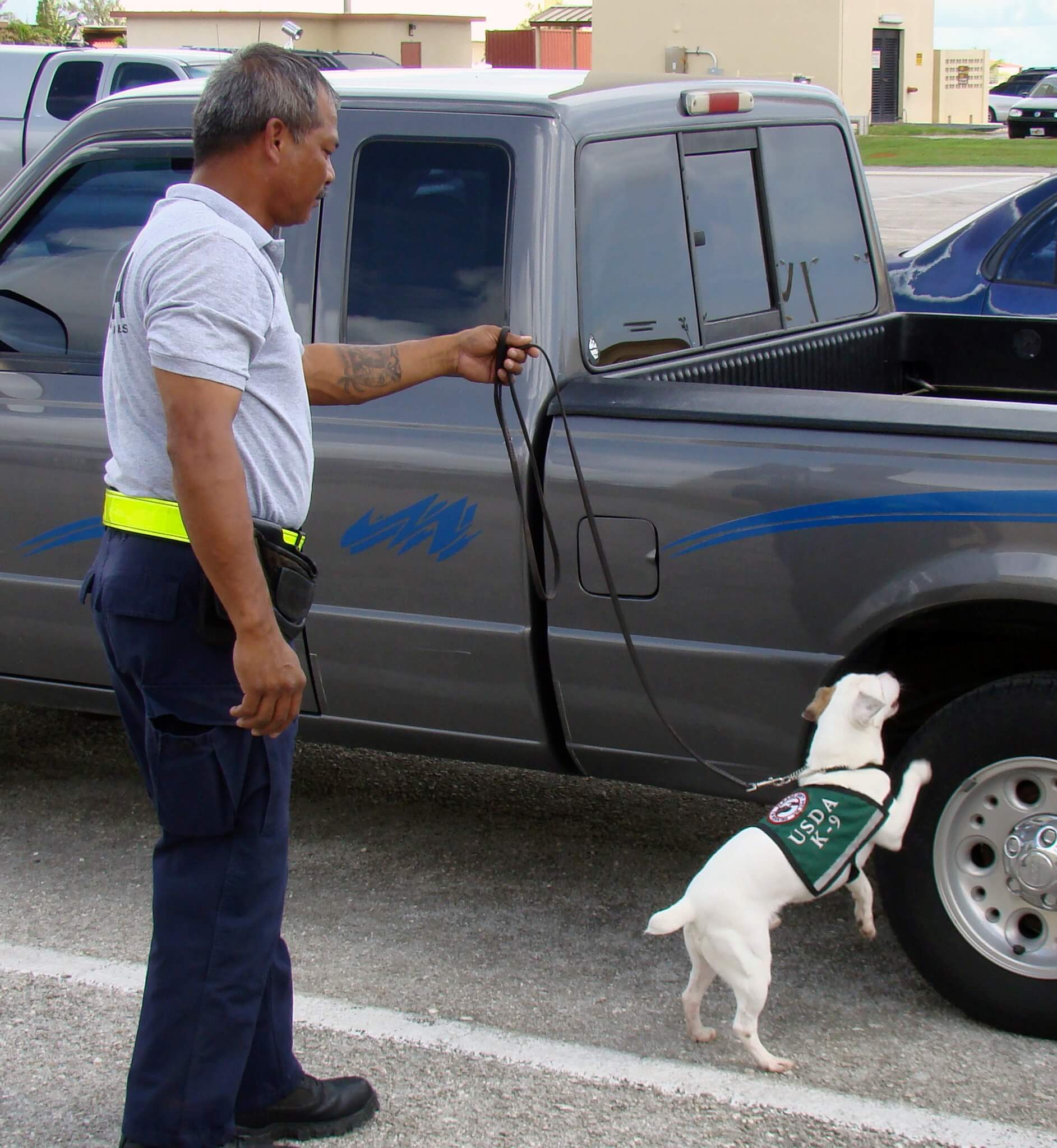 BTS k9 Team - snake sniffing dogs.