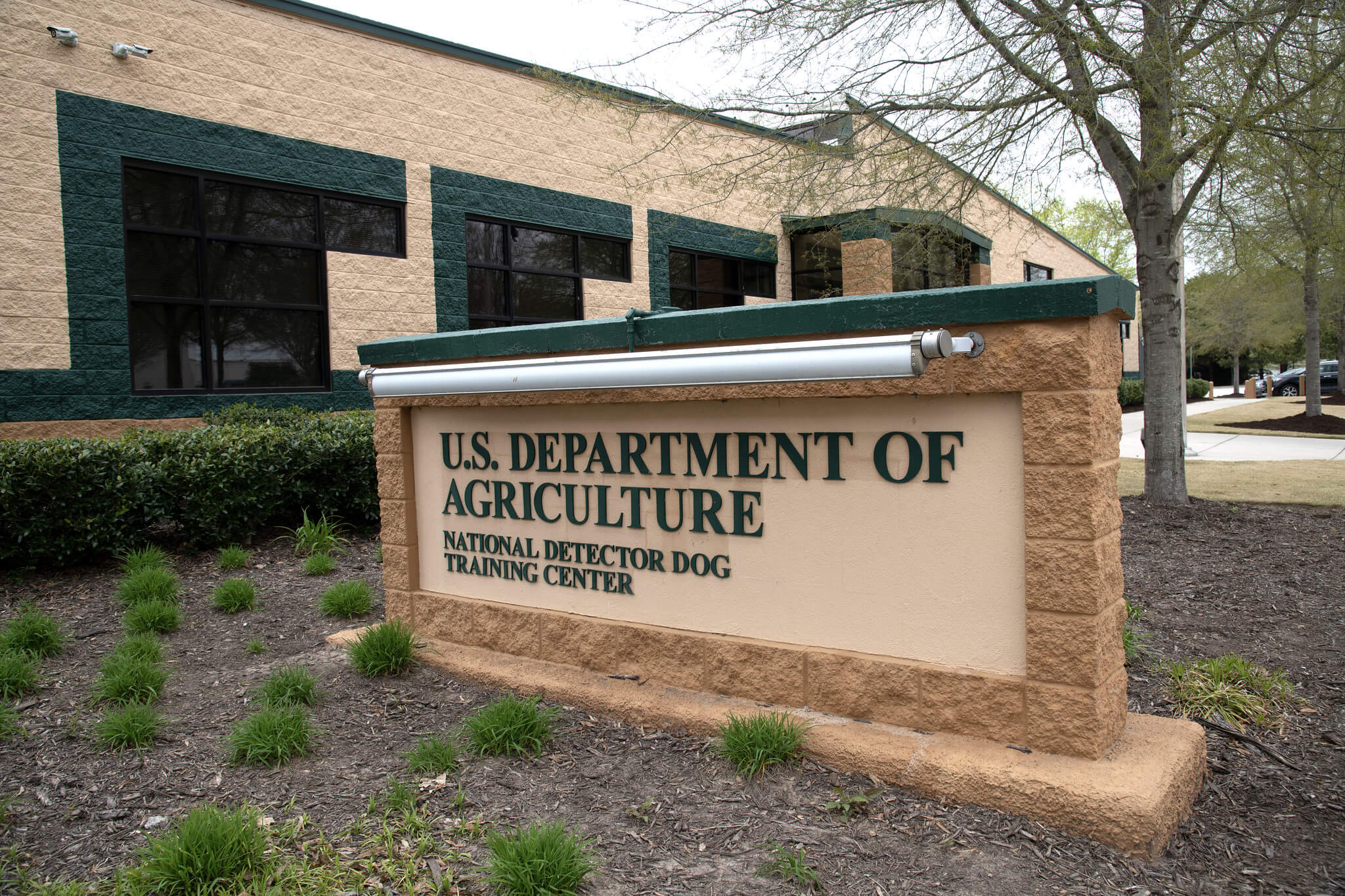 USDA Detector Dogs