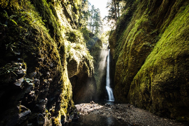 reorder photo add a link to this photo un fill row remove