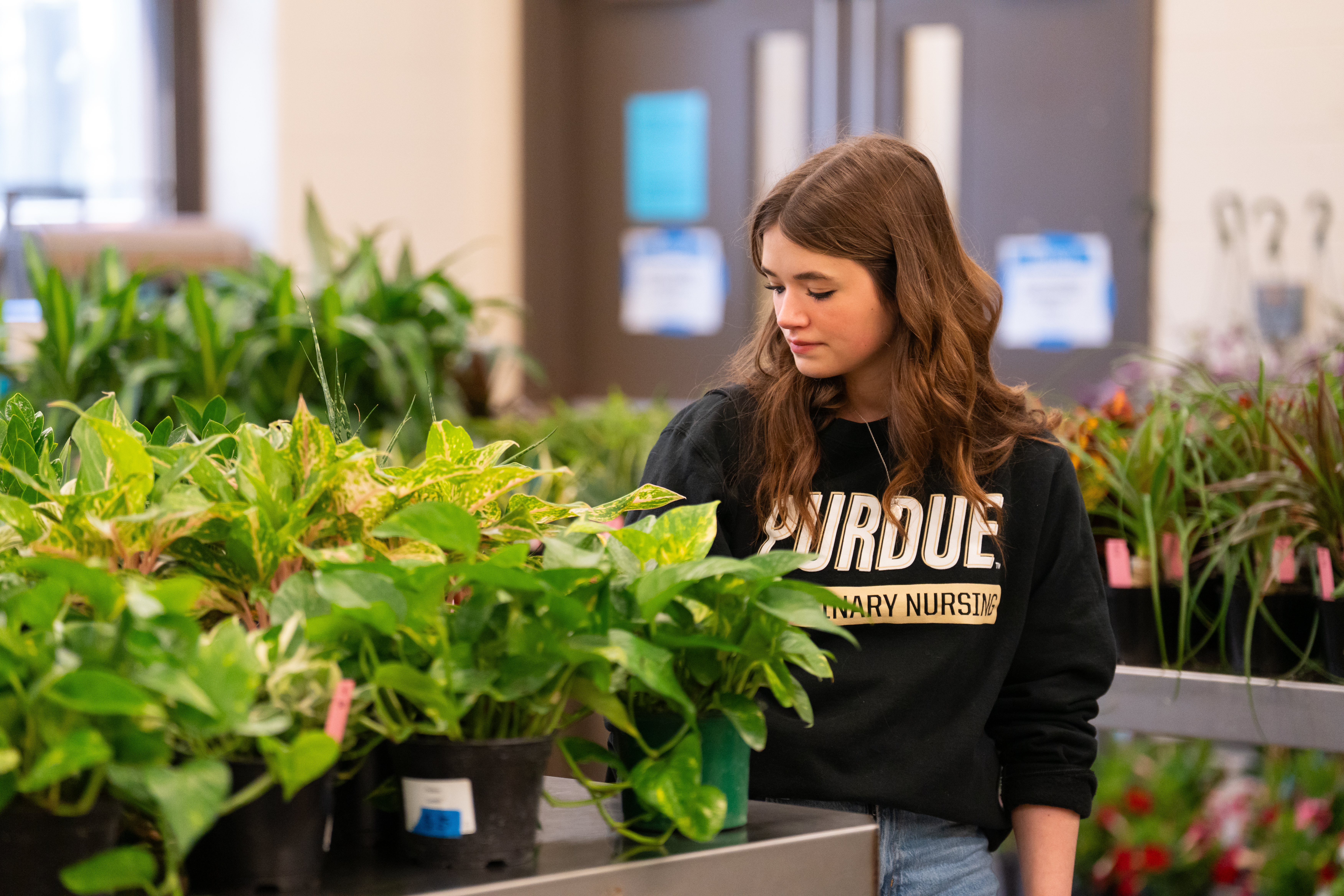 A celebration of family fun, flora and fauna: Spring Fest 2025