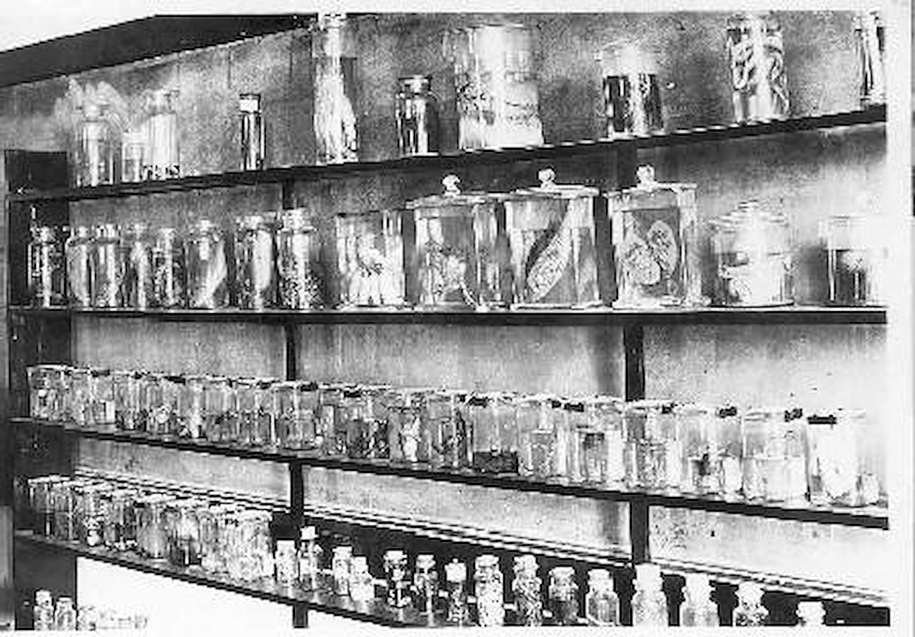 A biology lab circa 1910.