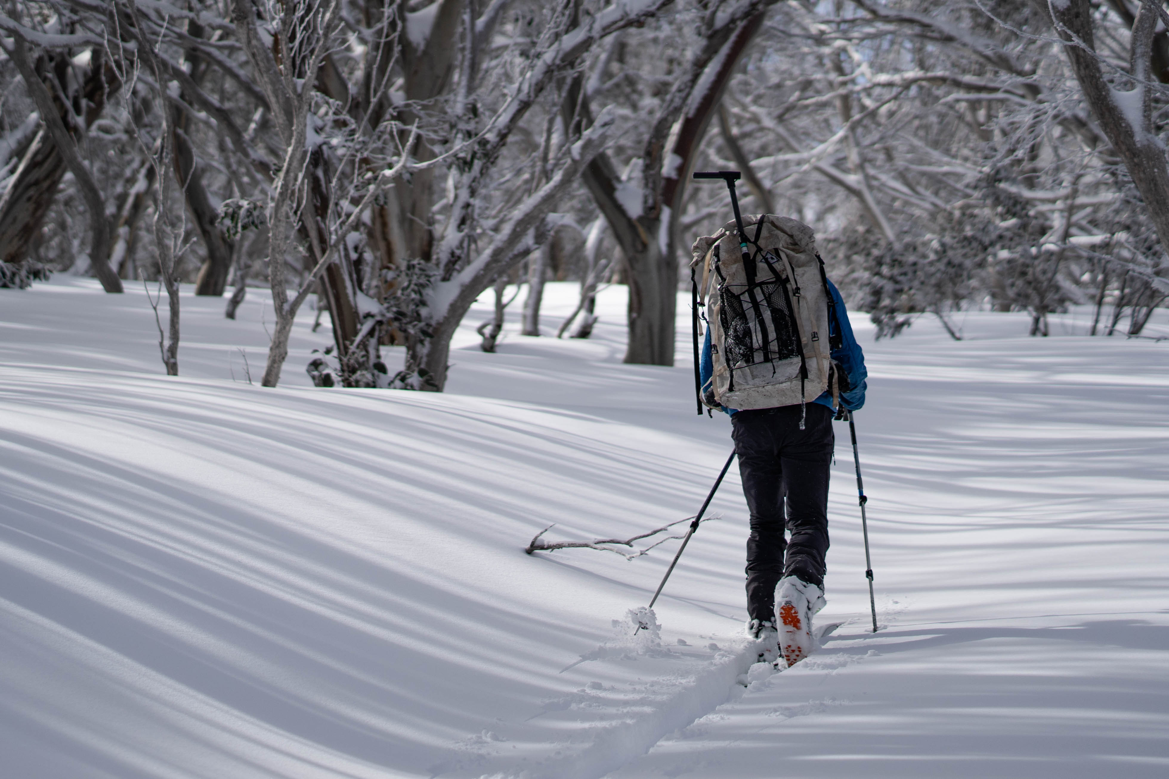 Australian Alps Walking Track