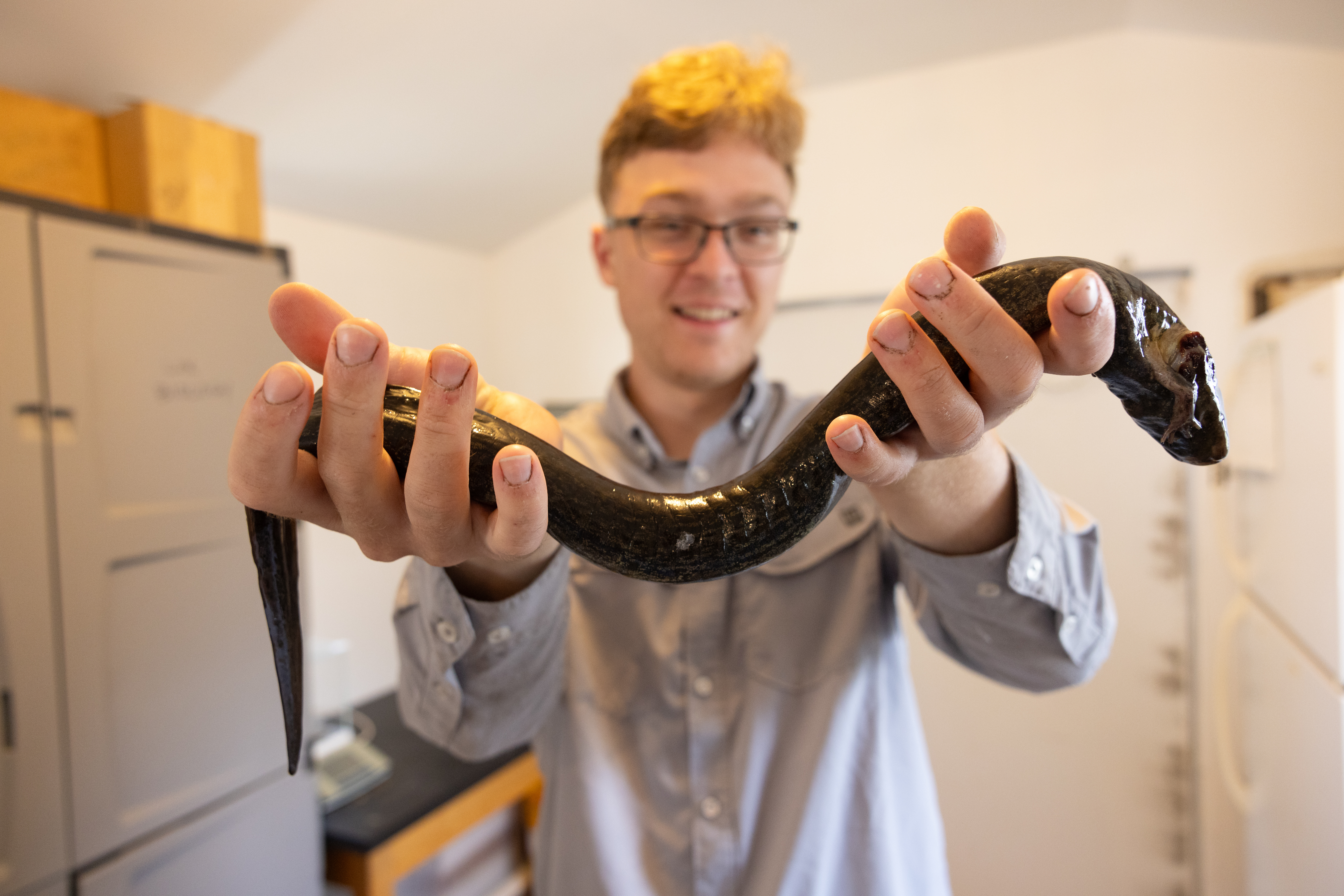 The Salamander Whisperer