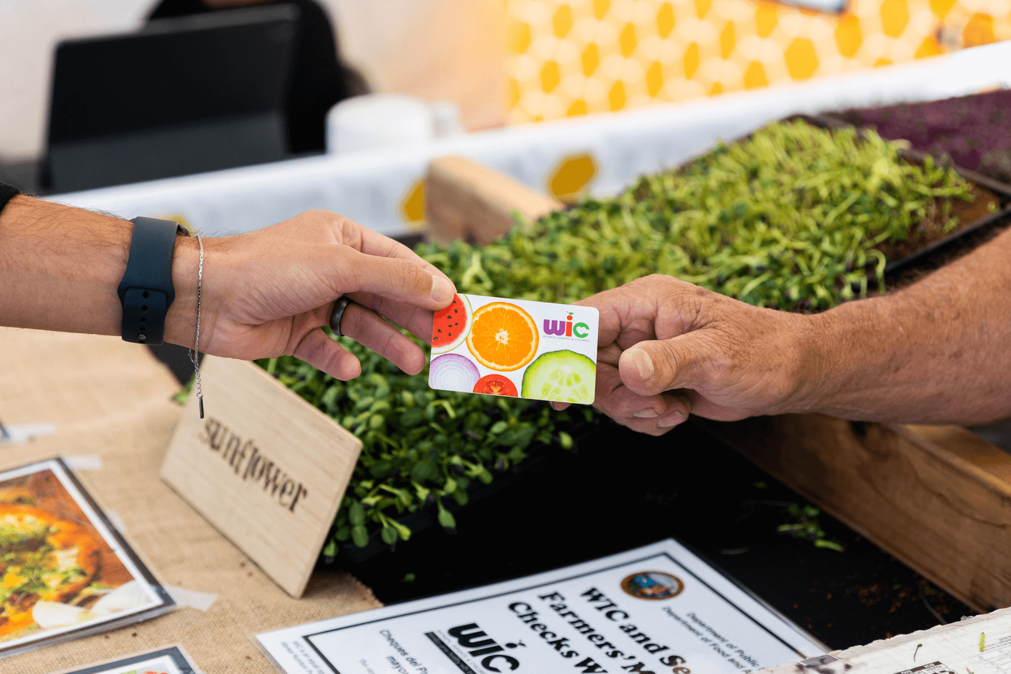WIC payment cards can be used to purchase groceries