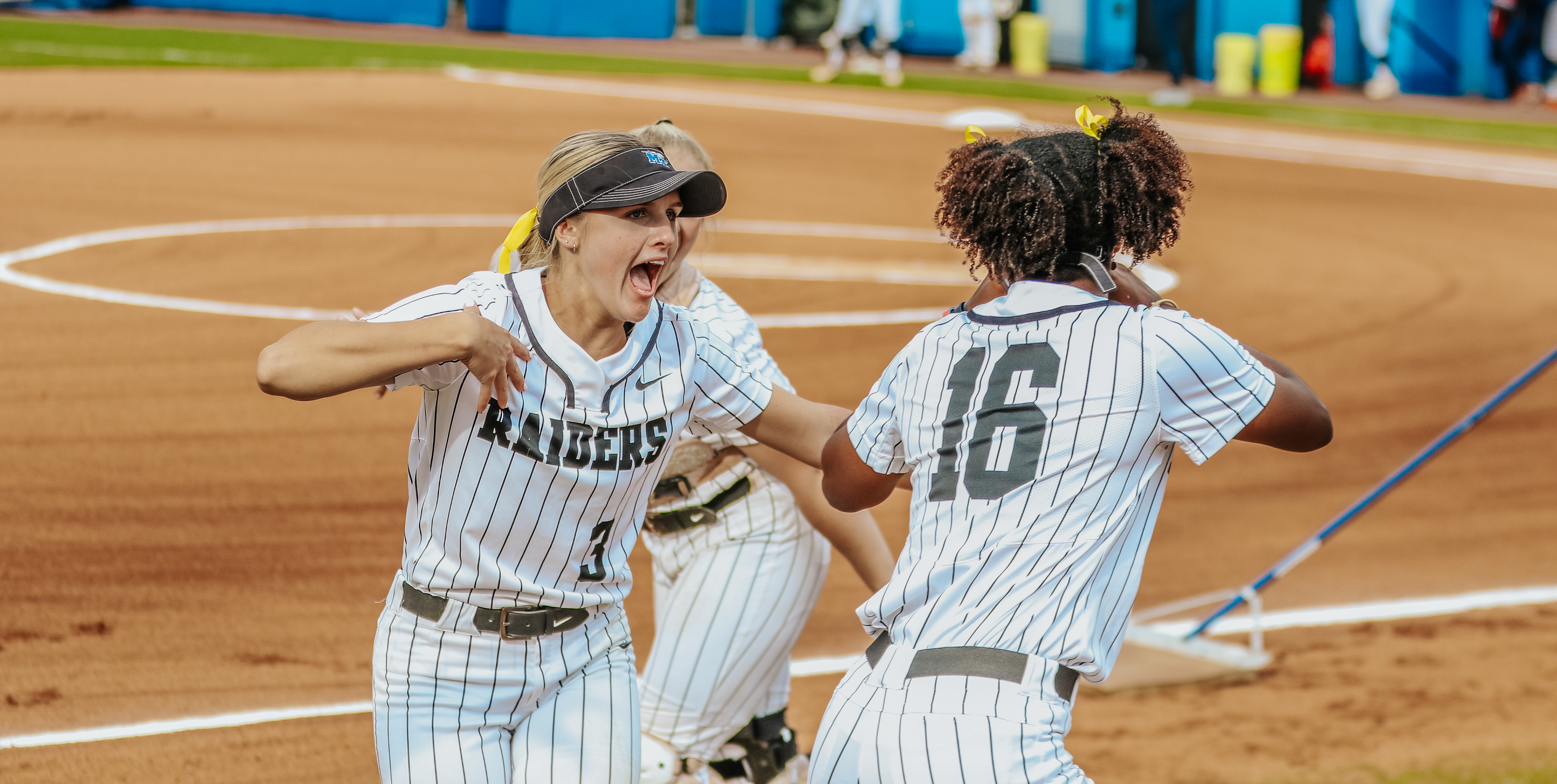 reorder photo add a link to this photo un fill row remove