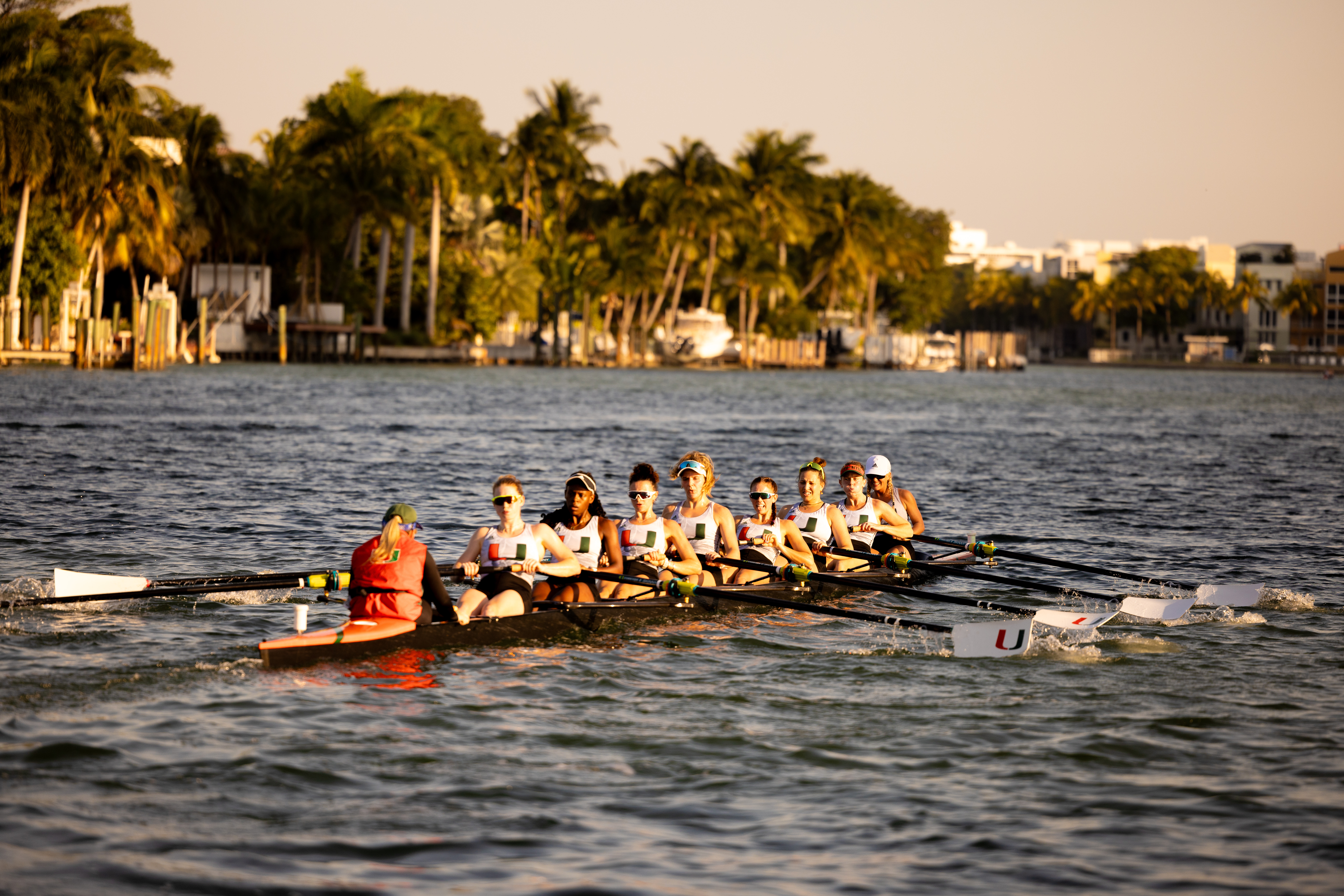 The Miami Crew
