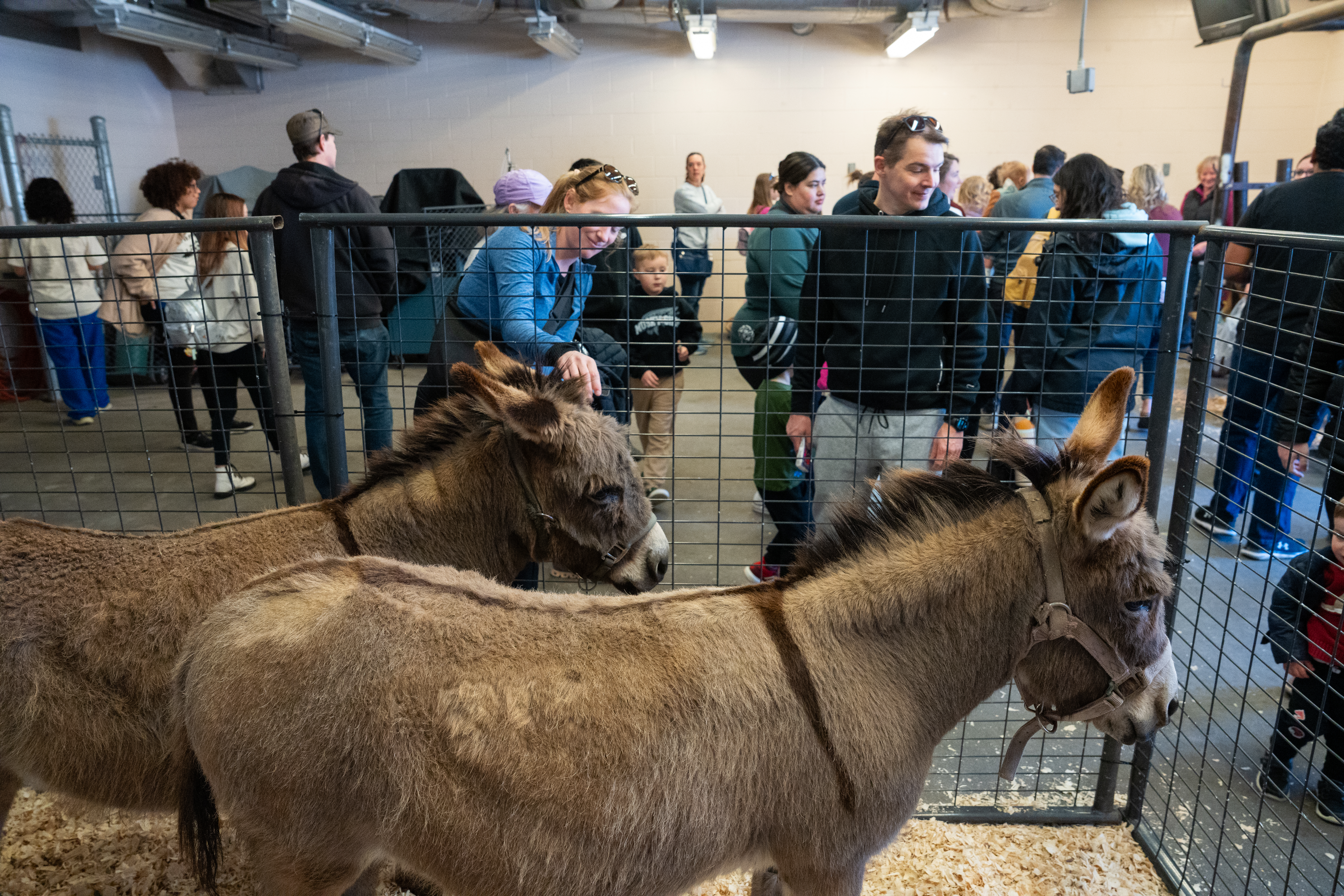 A celebration of family fun, flora and fauna: Spring Fest 2025