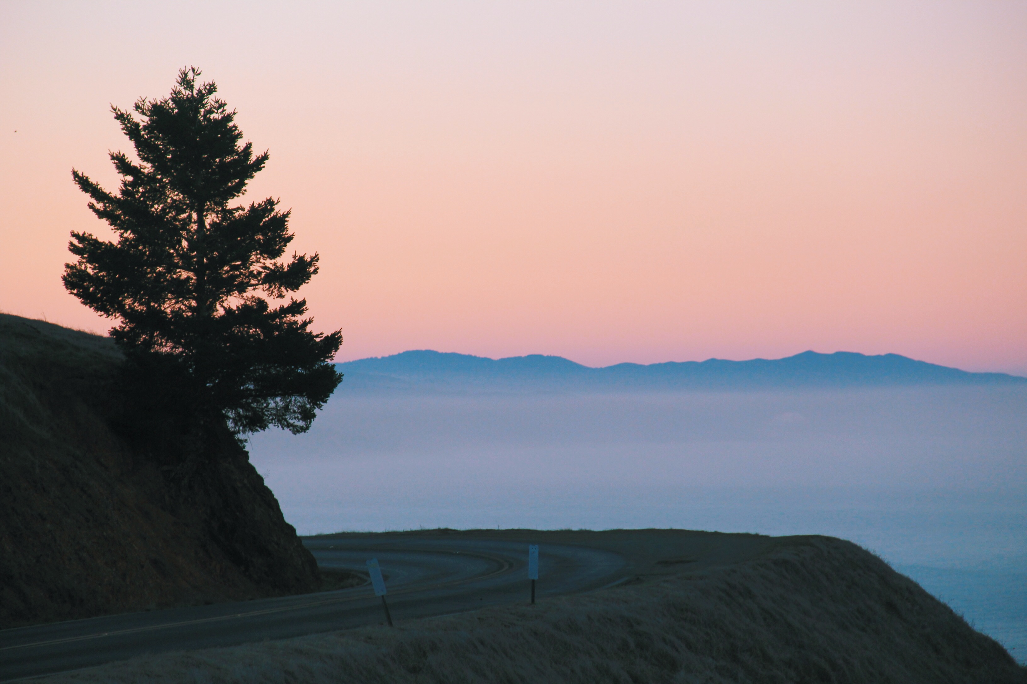 MOUNT TAMALPAIS