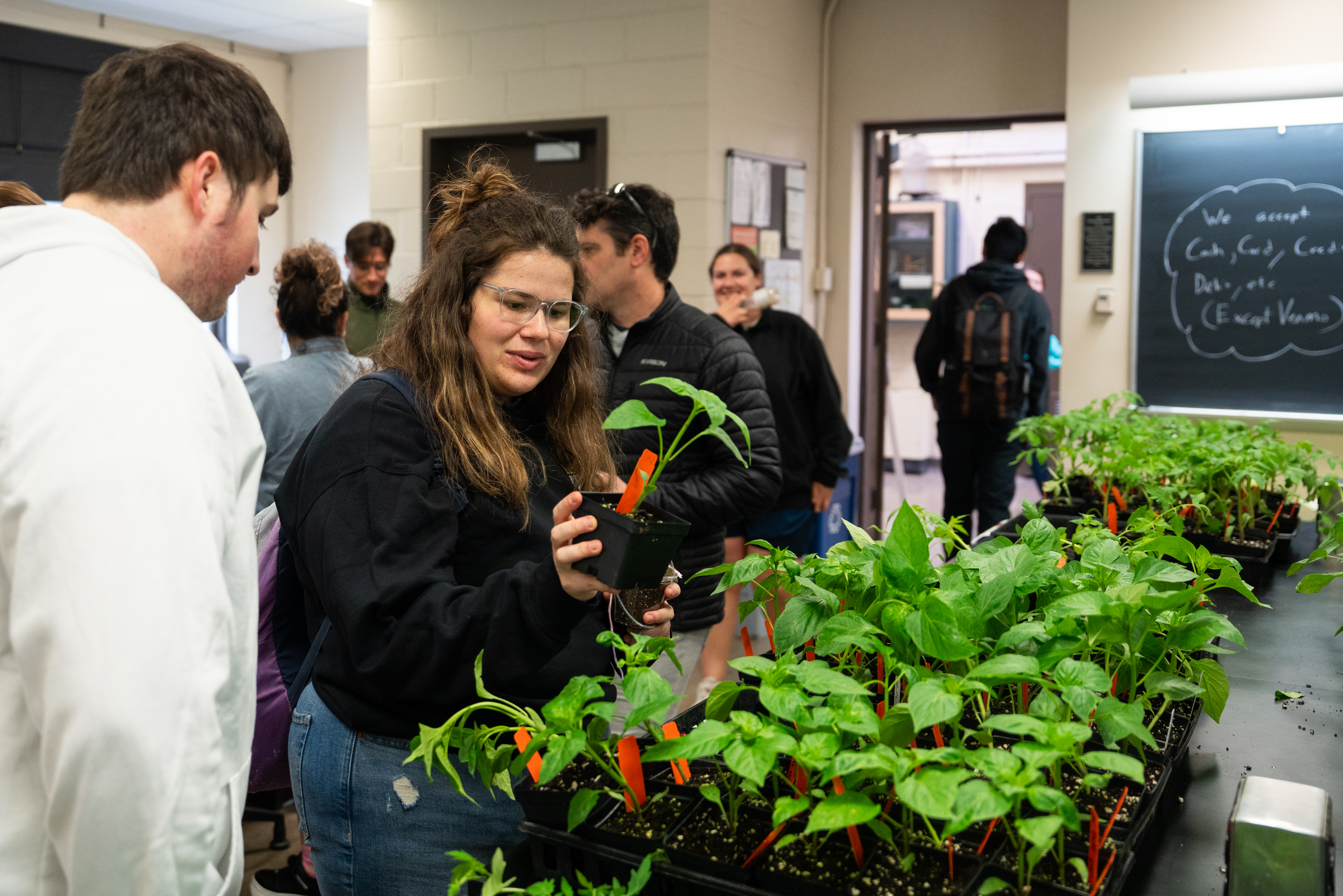 Woman examines potted plant at Spring Fest, surrounded by other ...