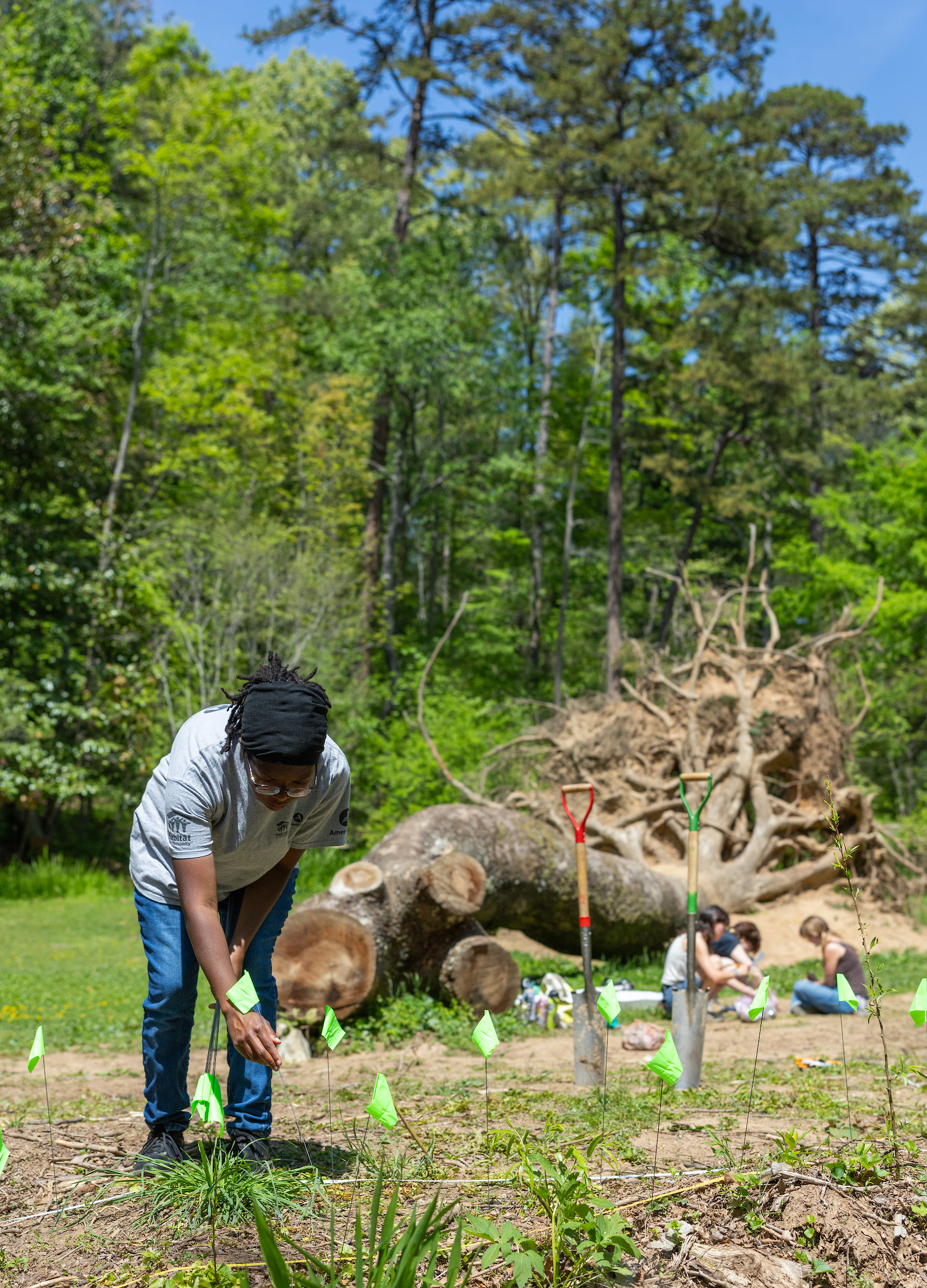 UNC Asheville students marked where the river cane was planted for ...
