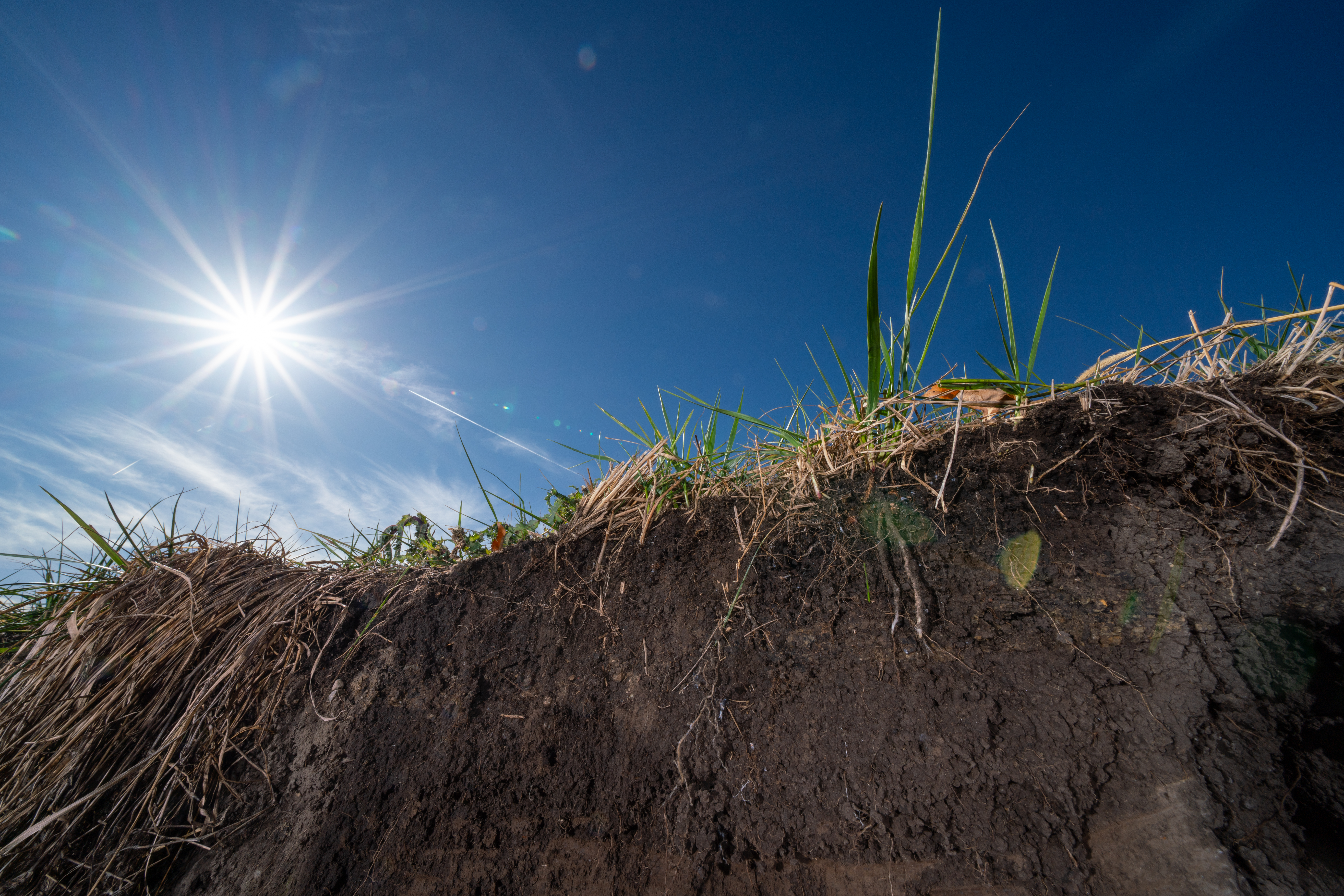 Low-angle shot of a soil profile with grass on top against a bright ...