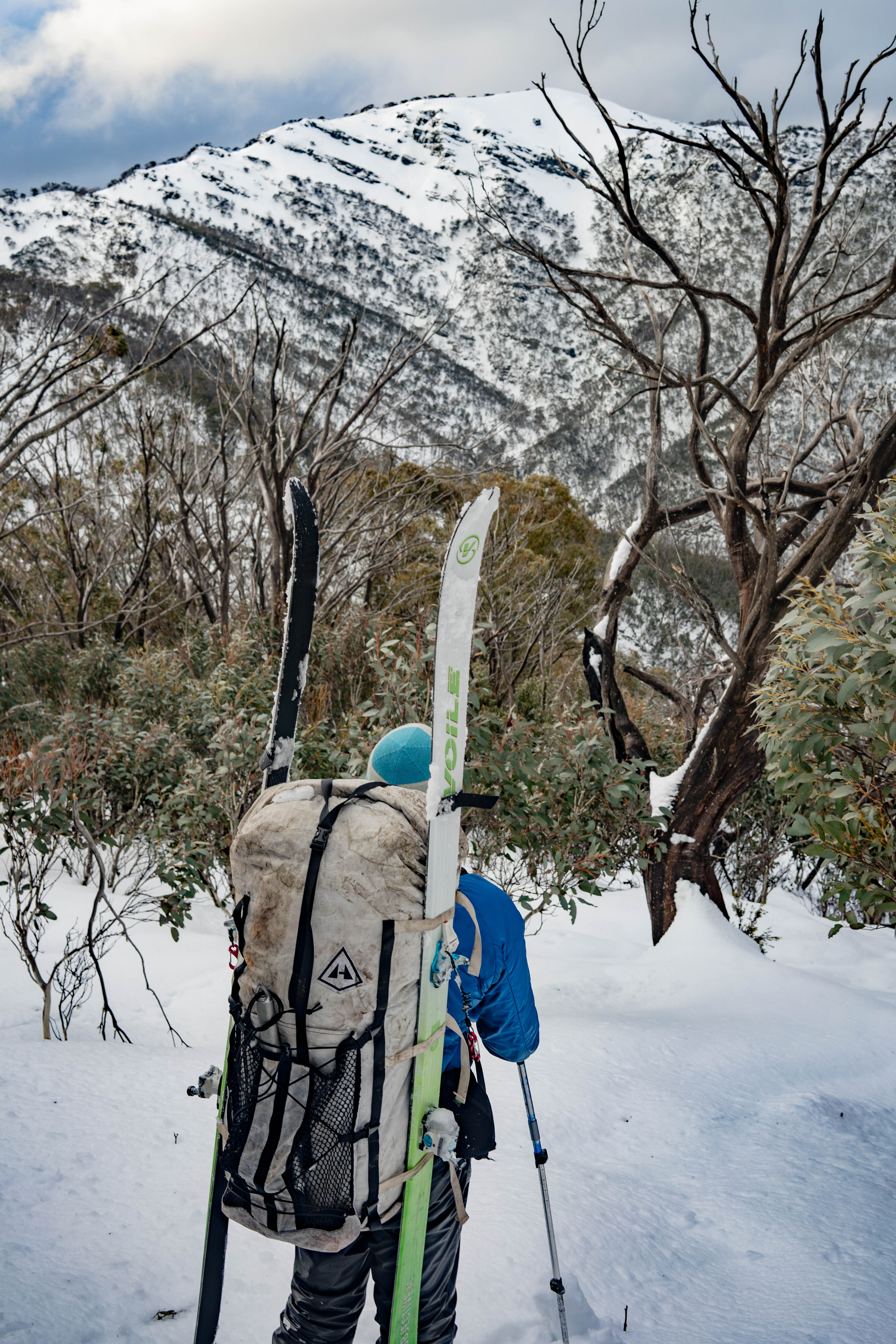 Australian Alps Walking Track