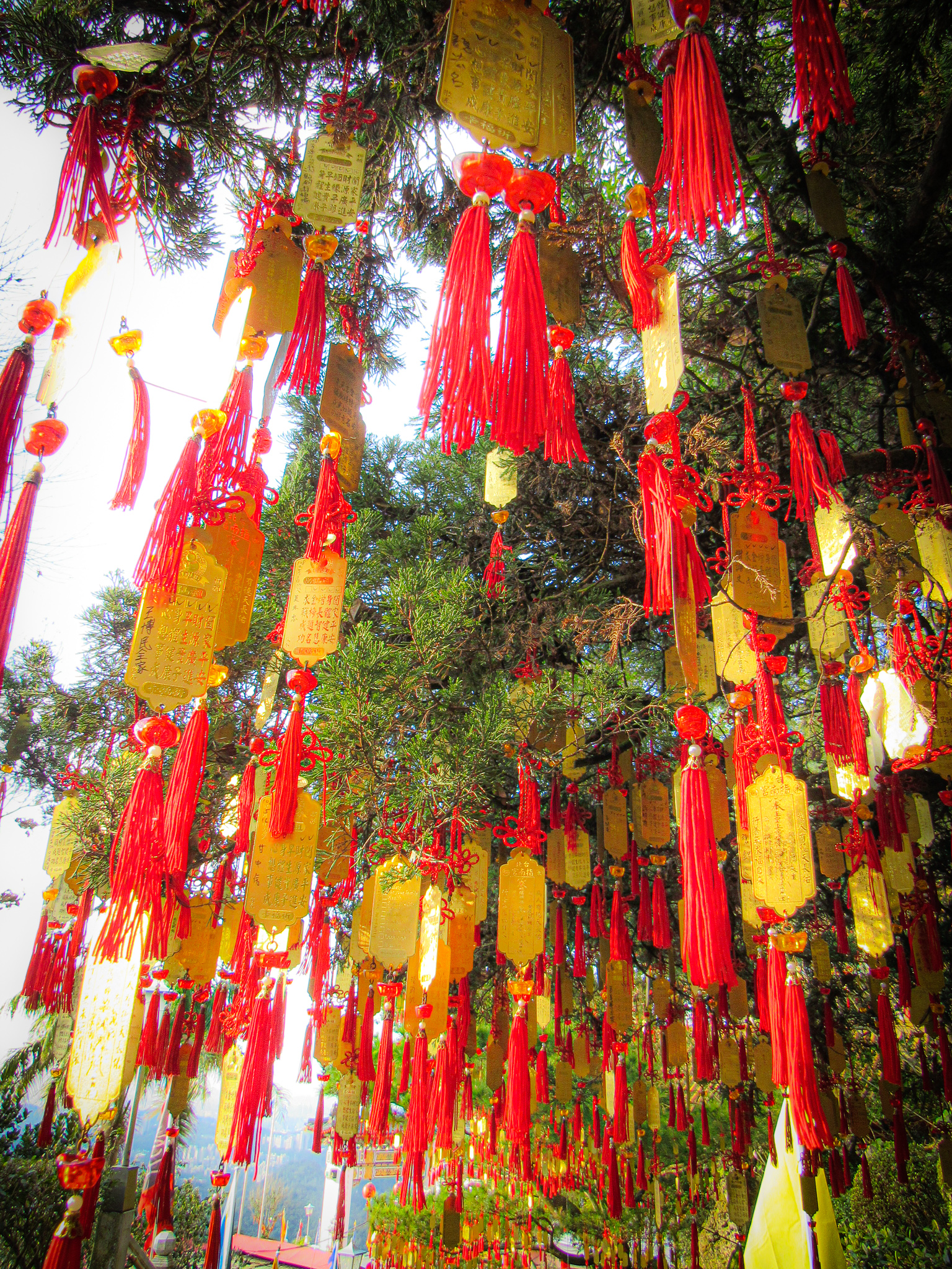 Truth in Humanity - History/Culture/Politics - Exposure