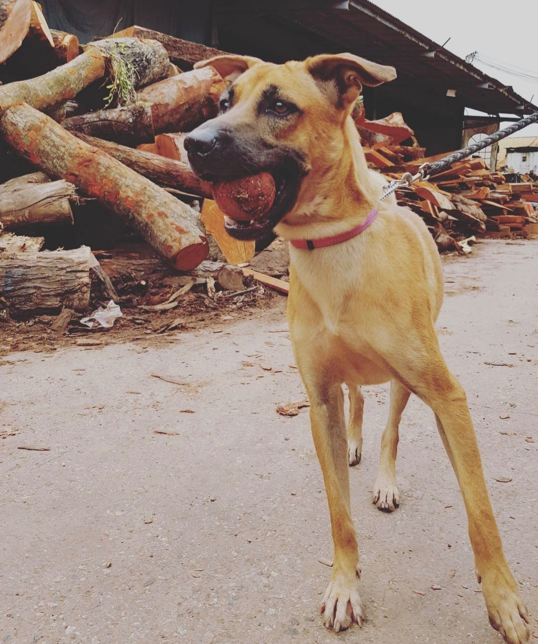 Javascript will need to be enable to see cover photo effects