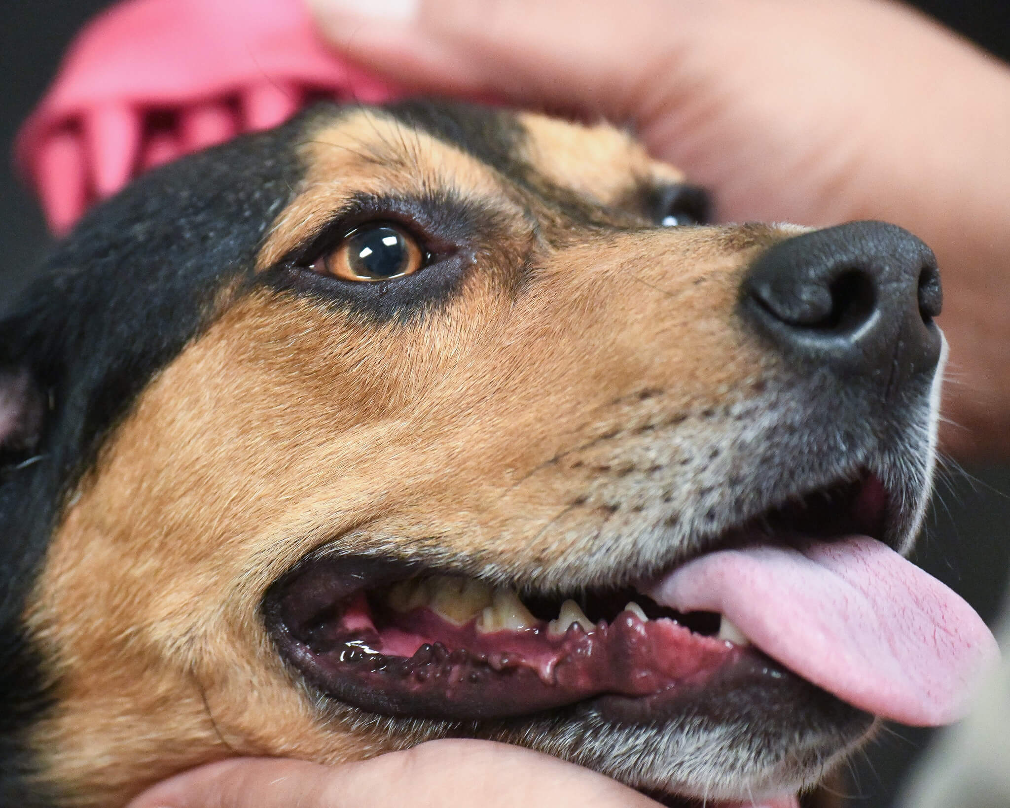 Javascript will need to be enable to see cover photo effects