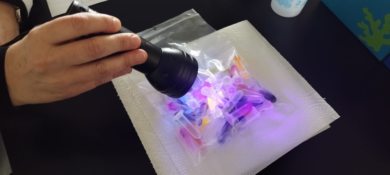 PORTUGAL - cover photo