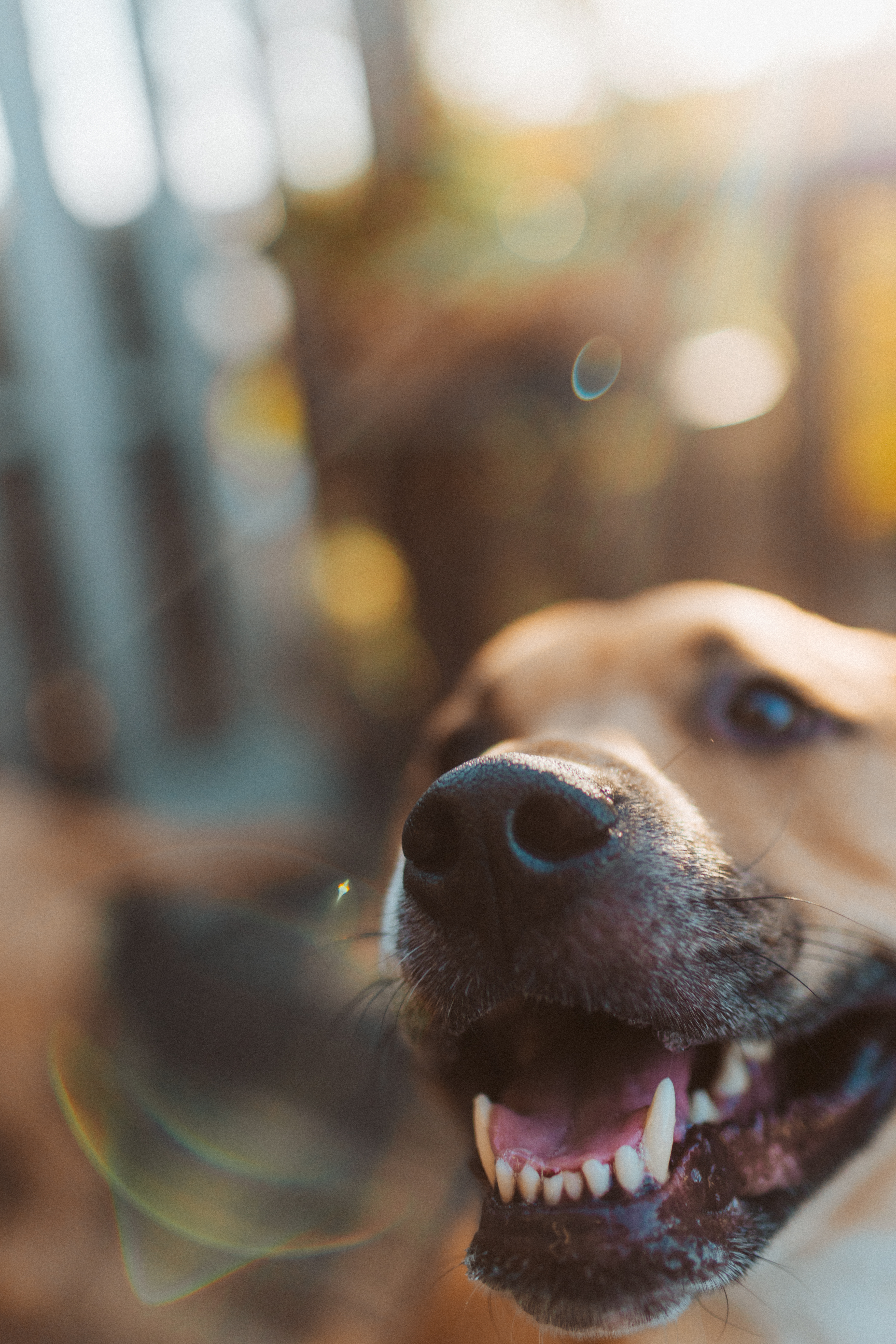 Javascript will need to be enable to see cover photo effects