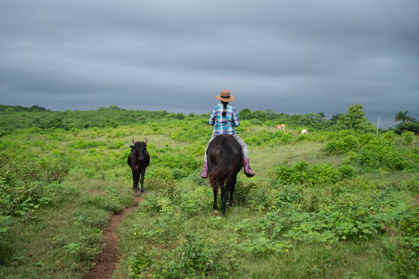 Javascript will need to be enable to see cover photo effects