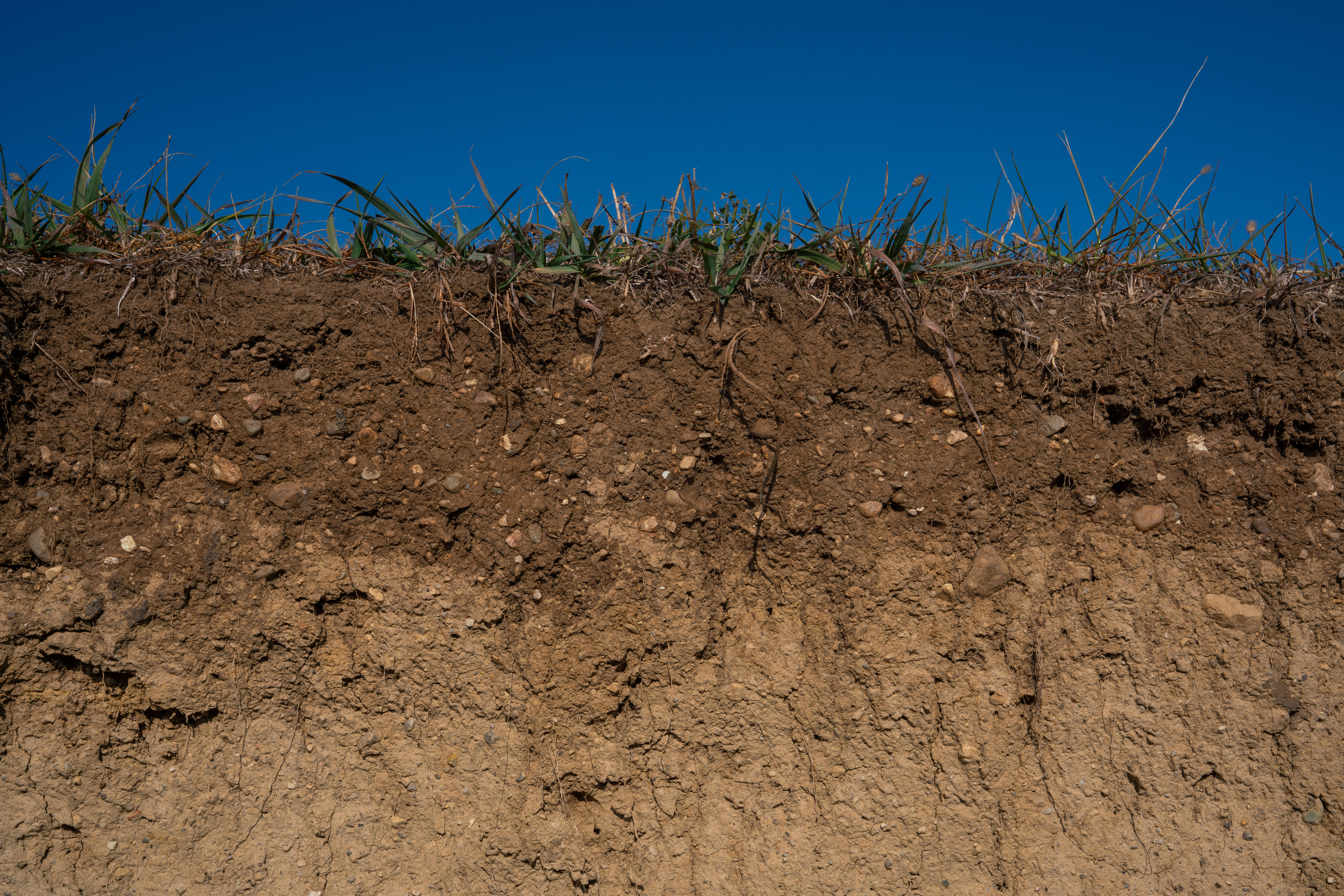 Unearthing soil science - cover photo