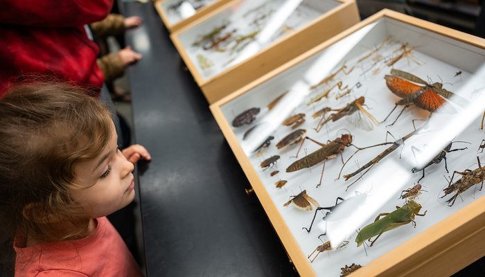 Read 2026 Spring Fest by Purdue University